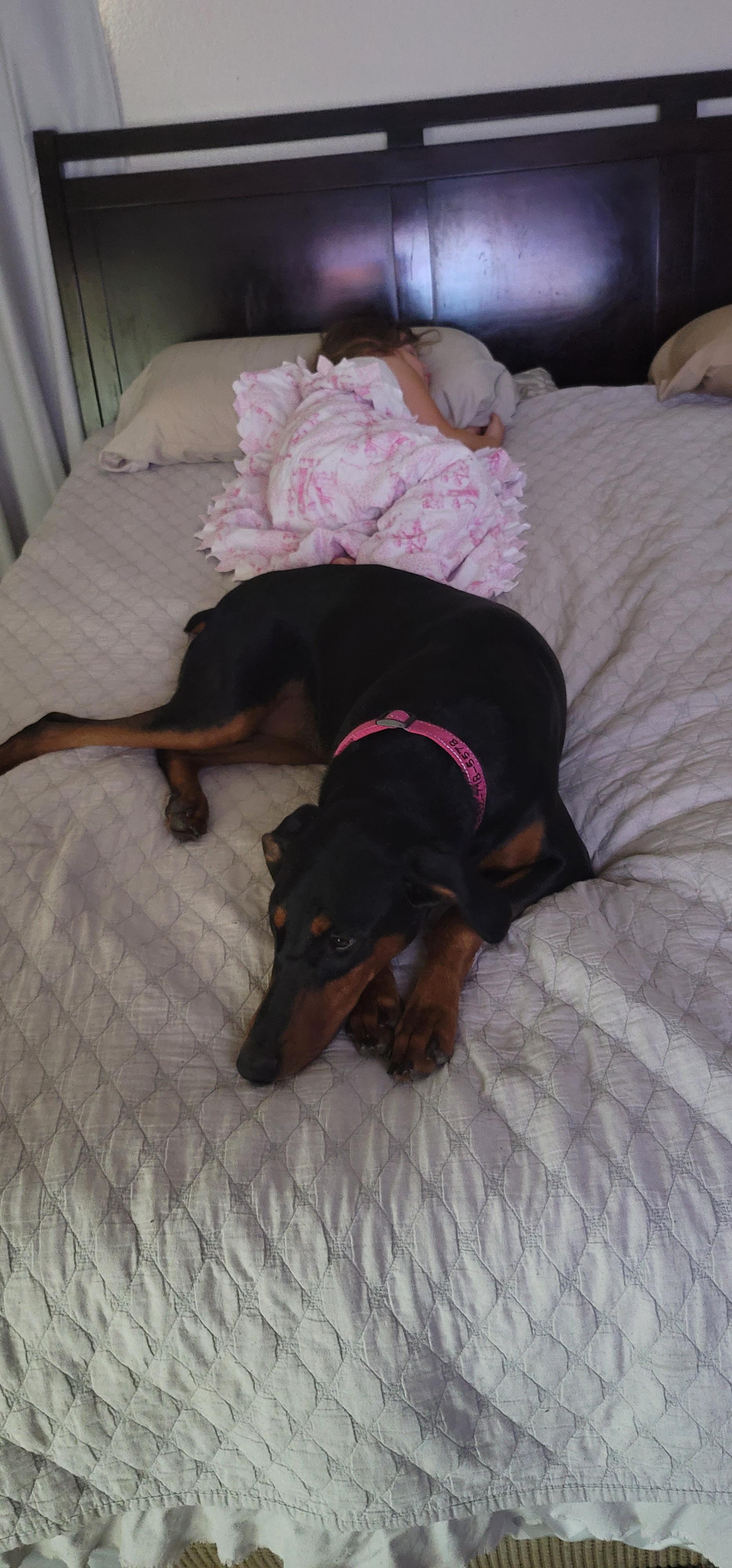 One girl sleeping while the others on watch. | Scrolller