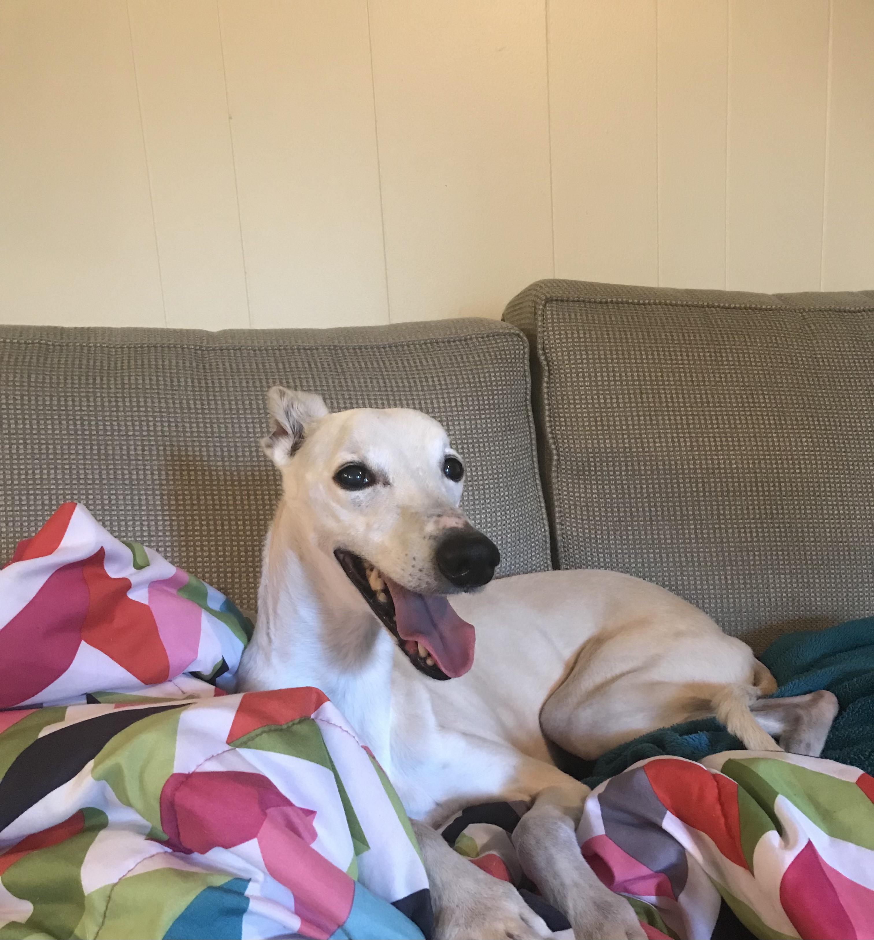 One hot whippy | Scrolller