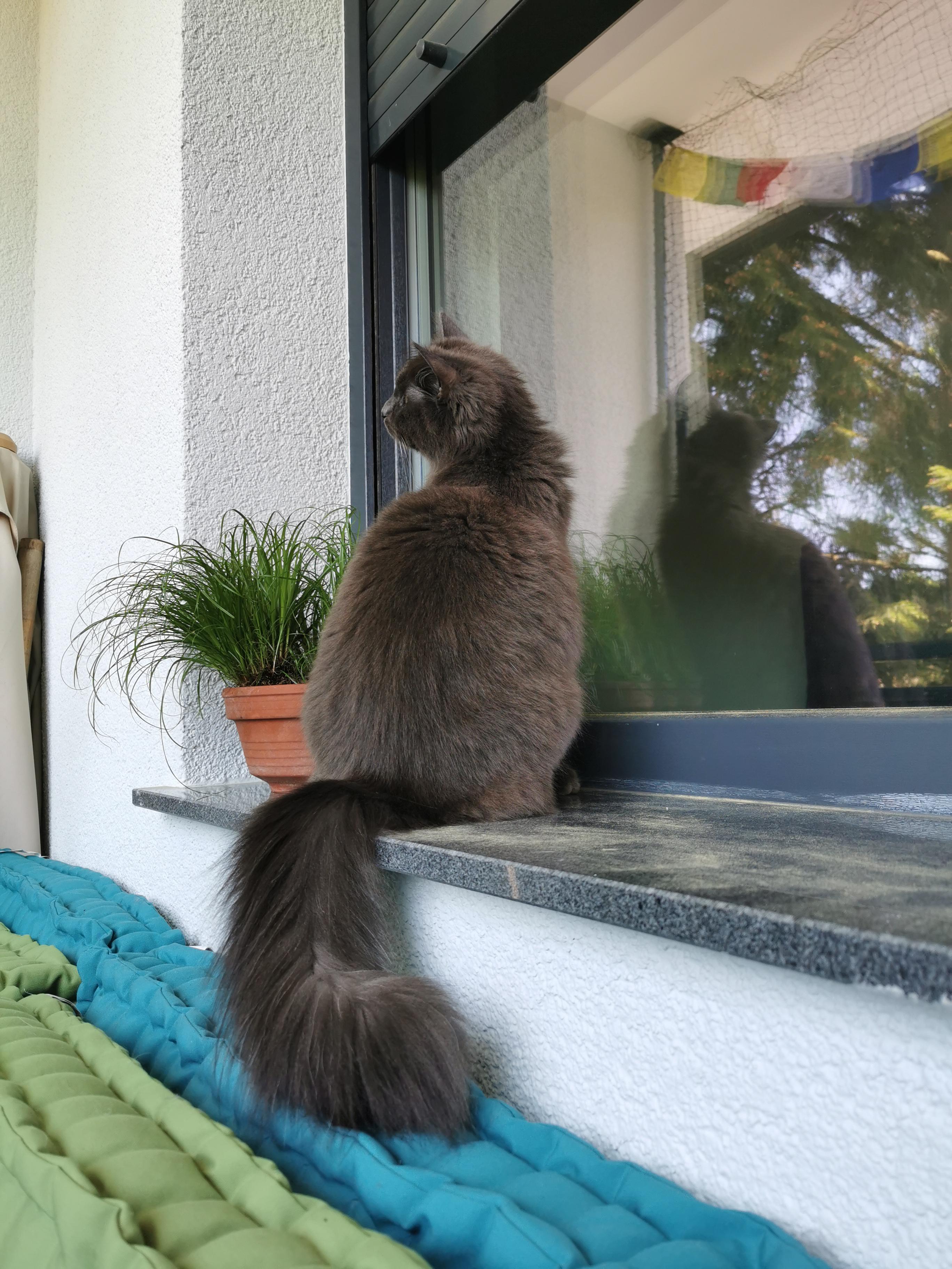 Our girl Ellie showing off her bottle brush | Scrolller