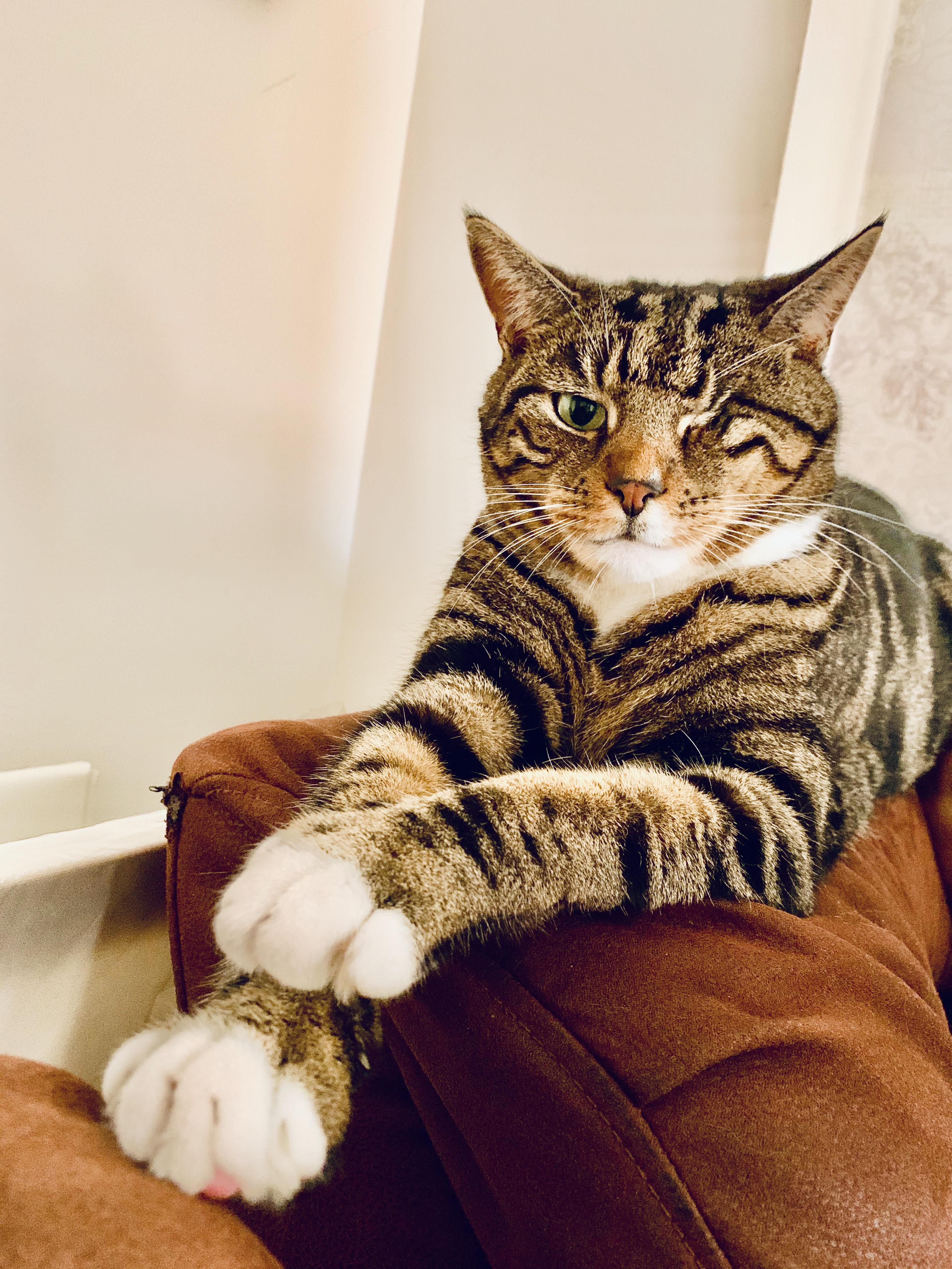 Our handsome boy | Scrolller