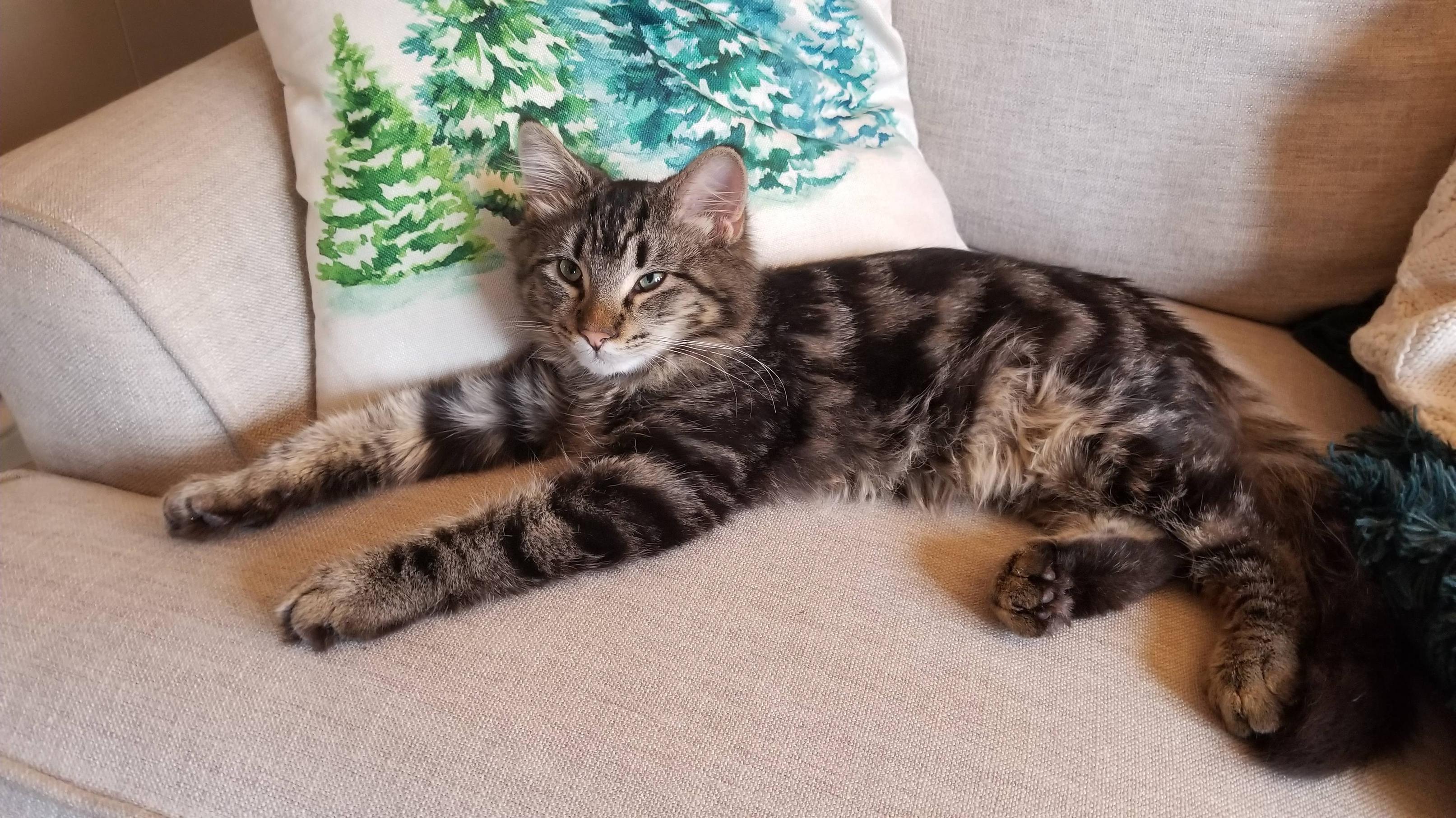 Our new little man | Scrolller