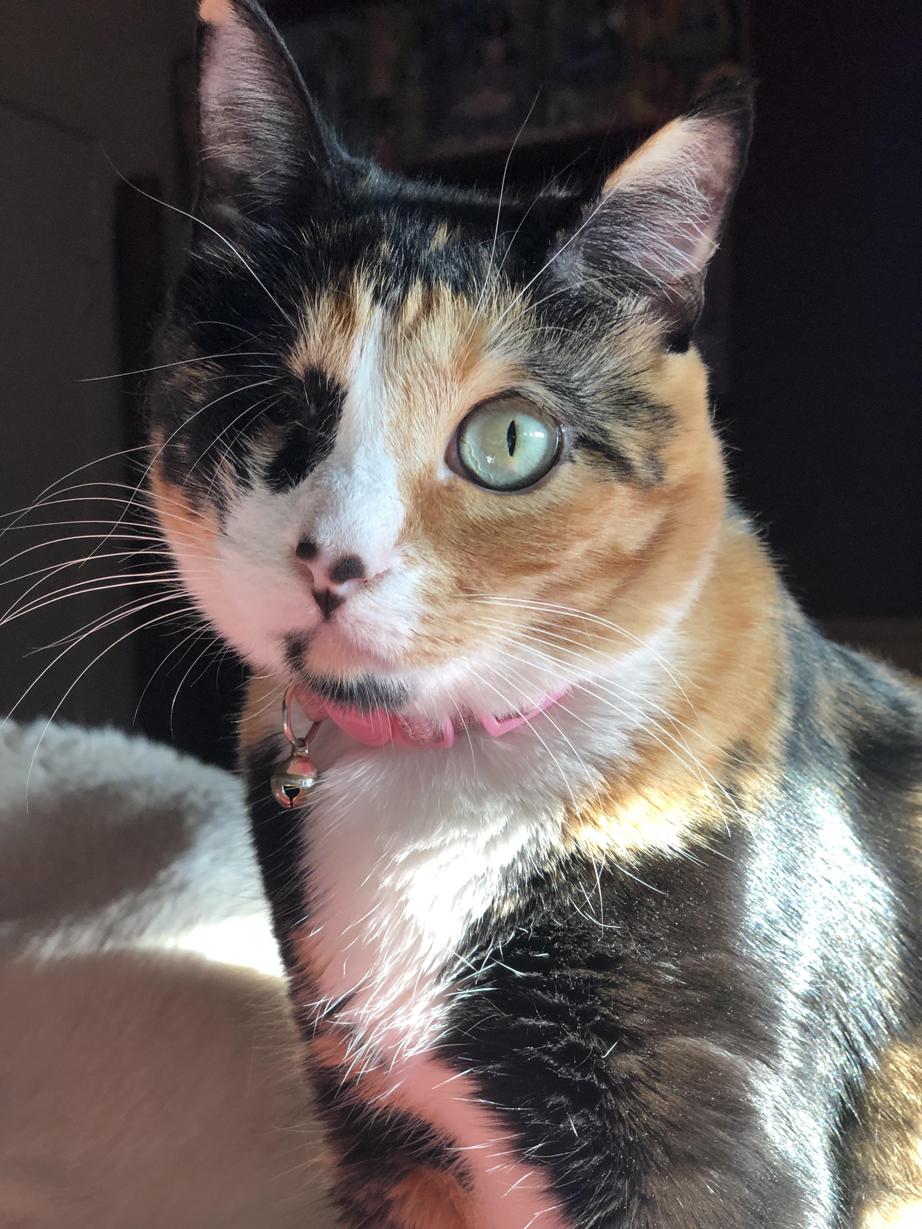 Our Pretty Penny Lane | Scrolller