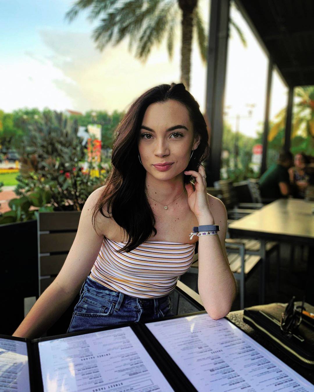 Palm Trees | Scrolller