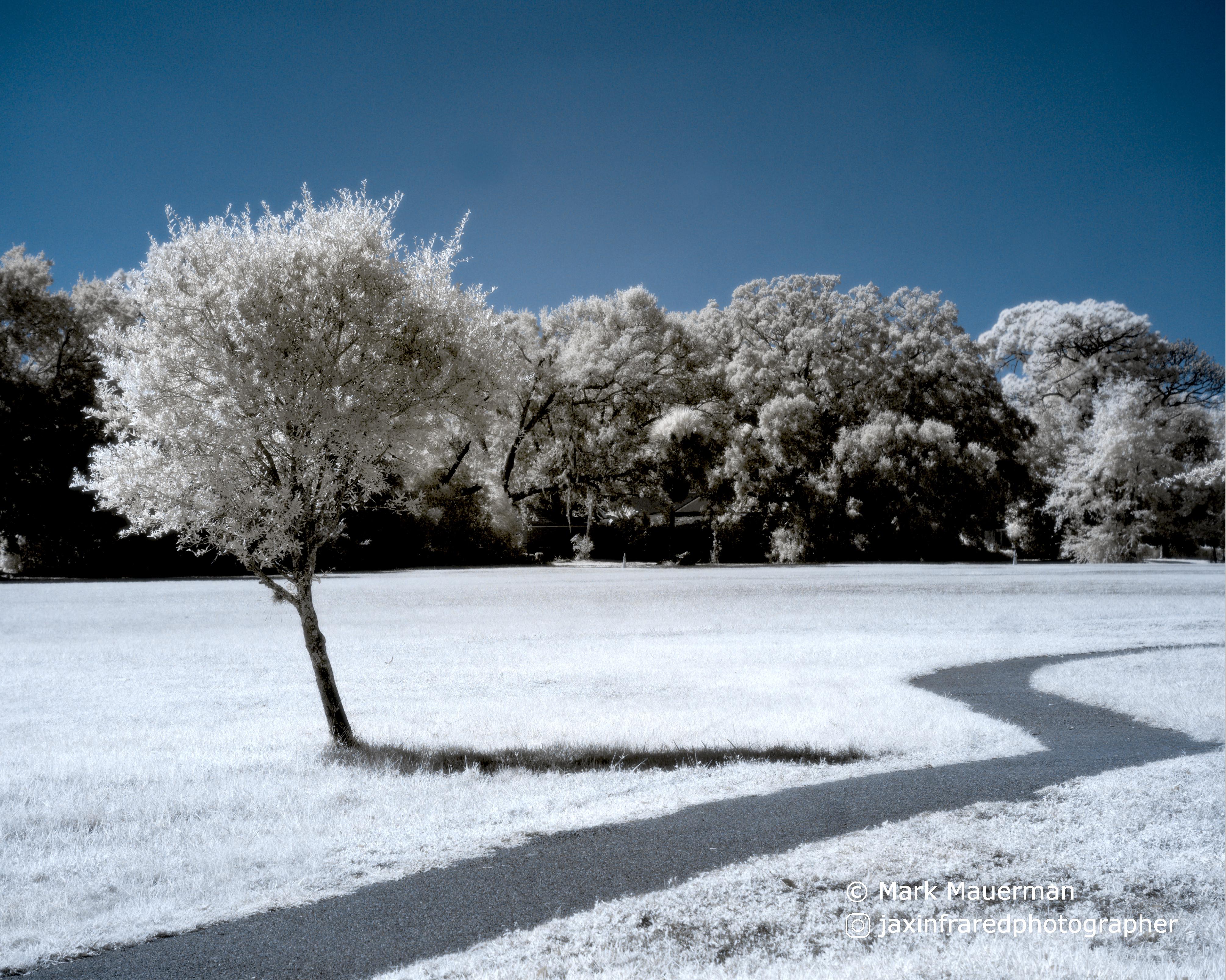 Pathway through the park. 720nm | Scrolller