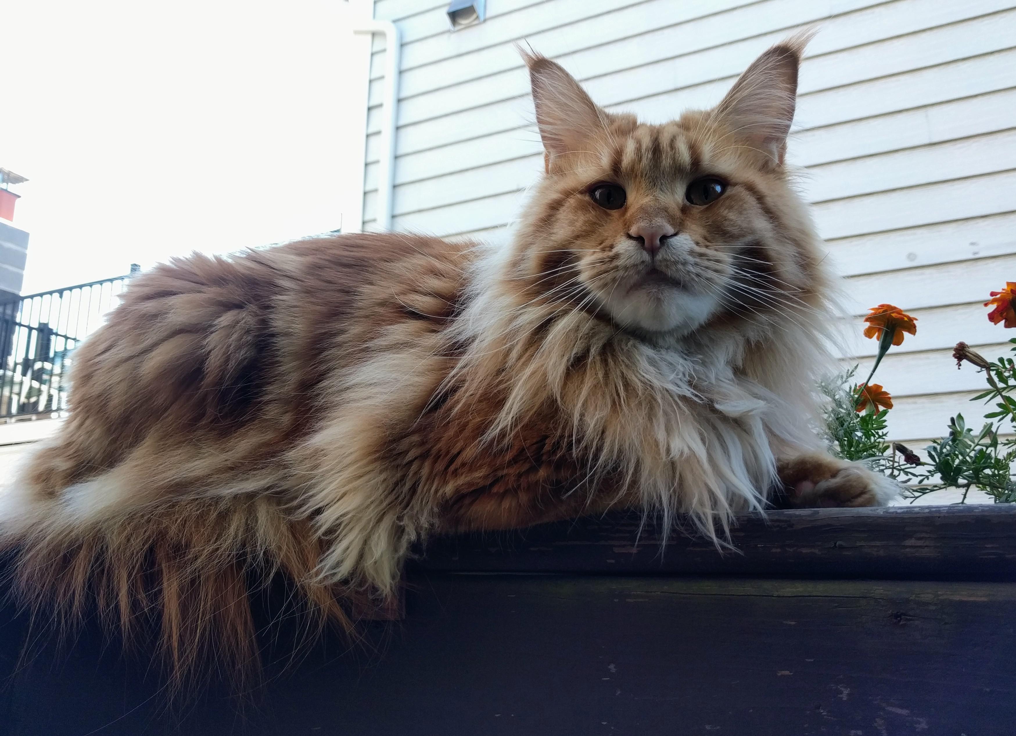 Peanut of content | Scrolller