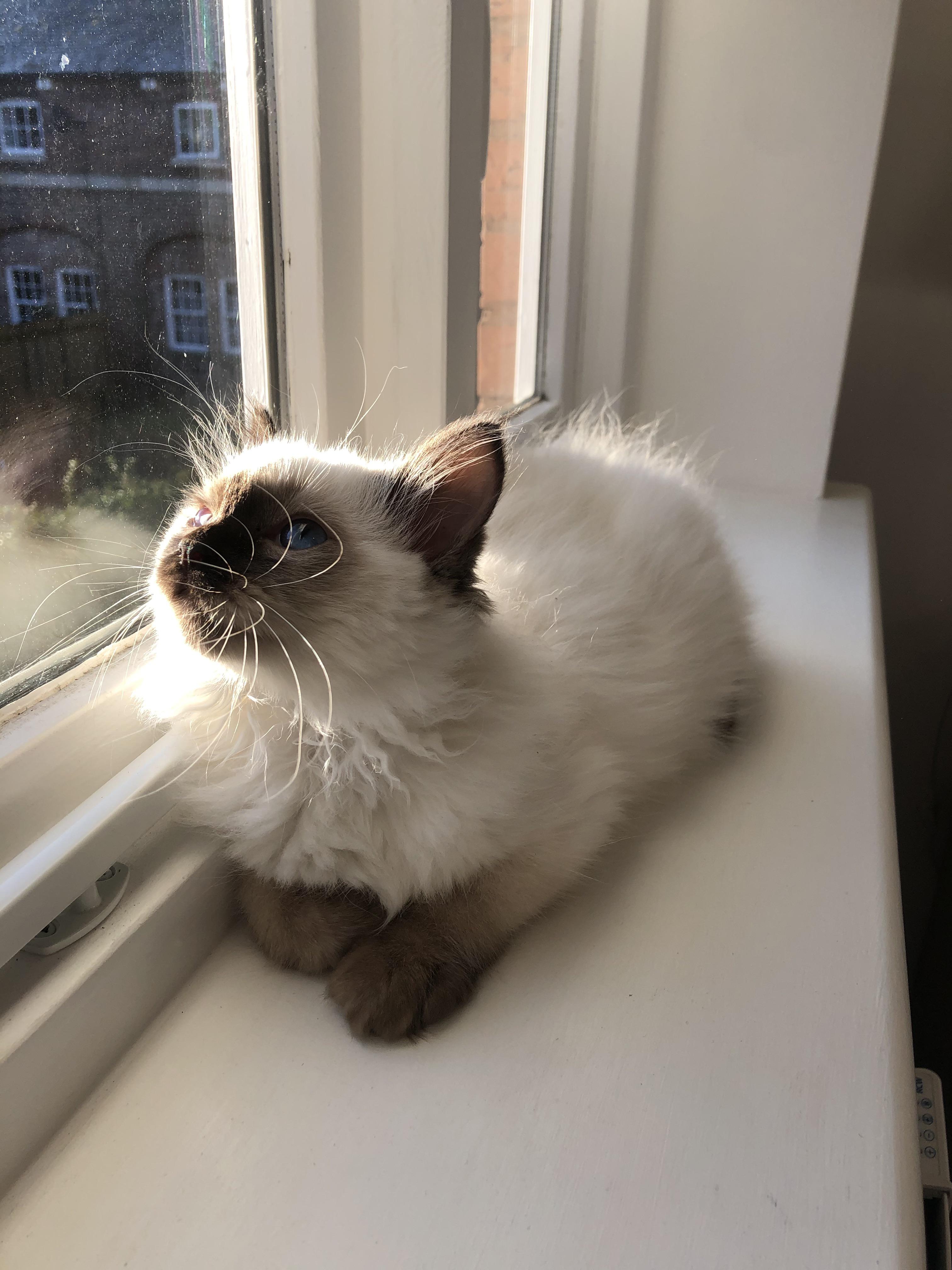 Peanuts in the sun!! | Scrolller