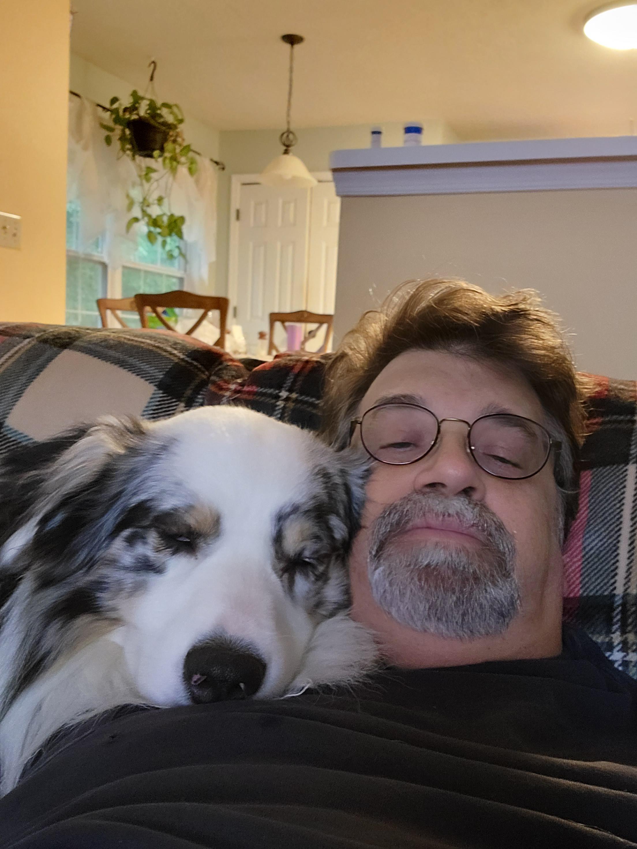 perfect couch nap buddy | Scrolller