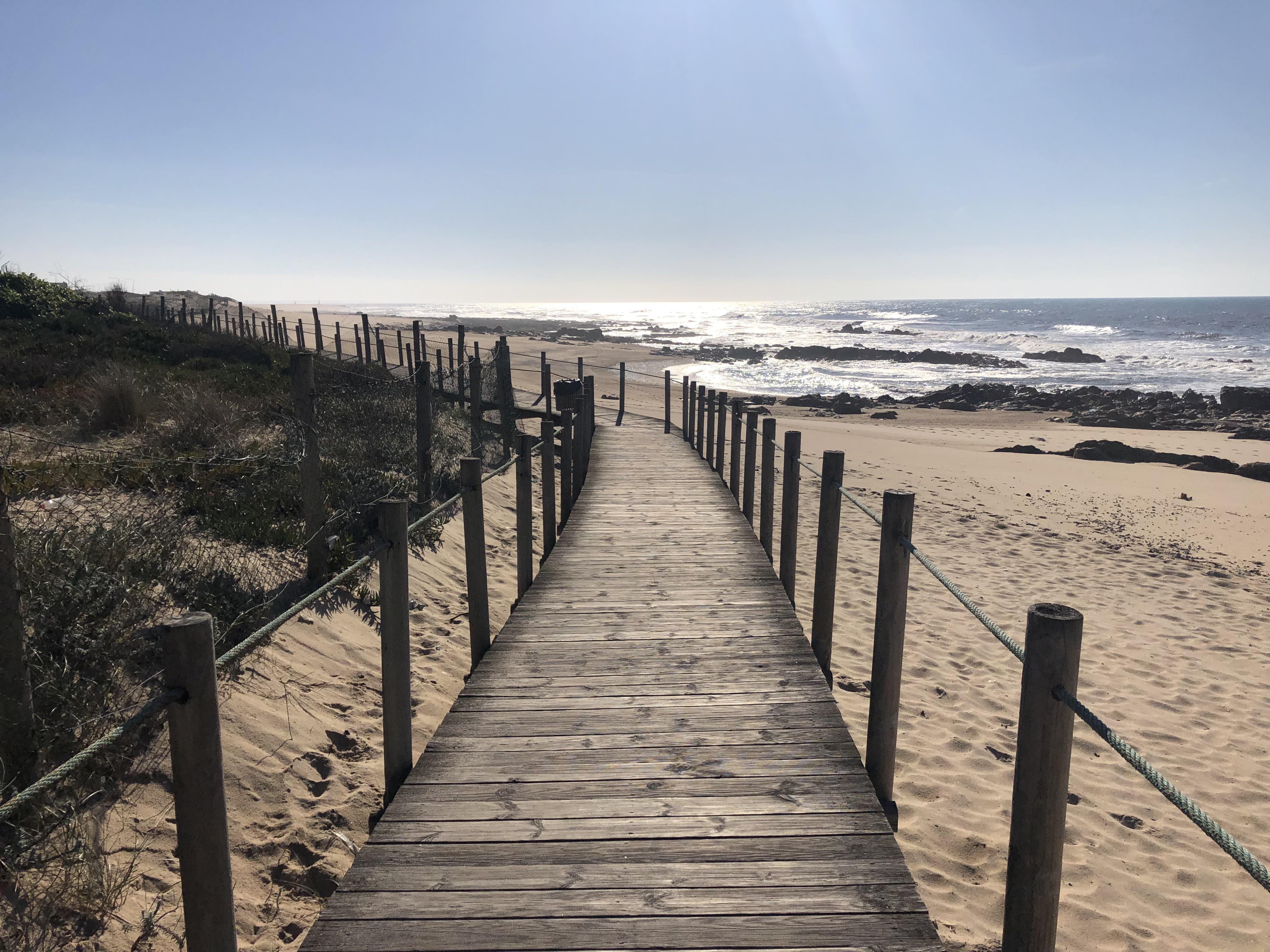 Perfect for a walk | Scrolller