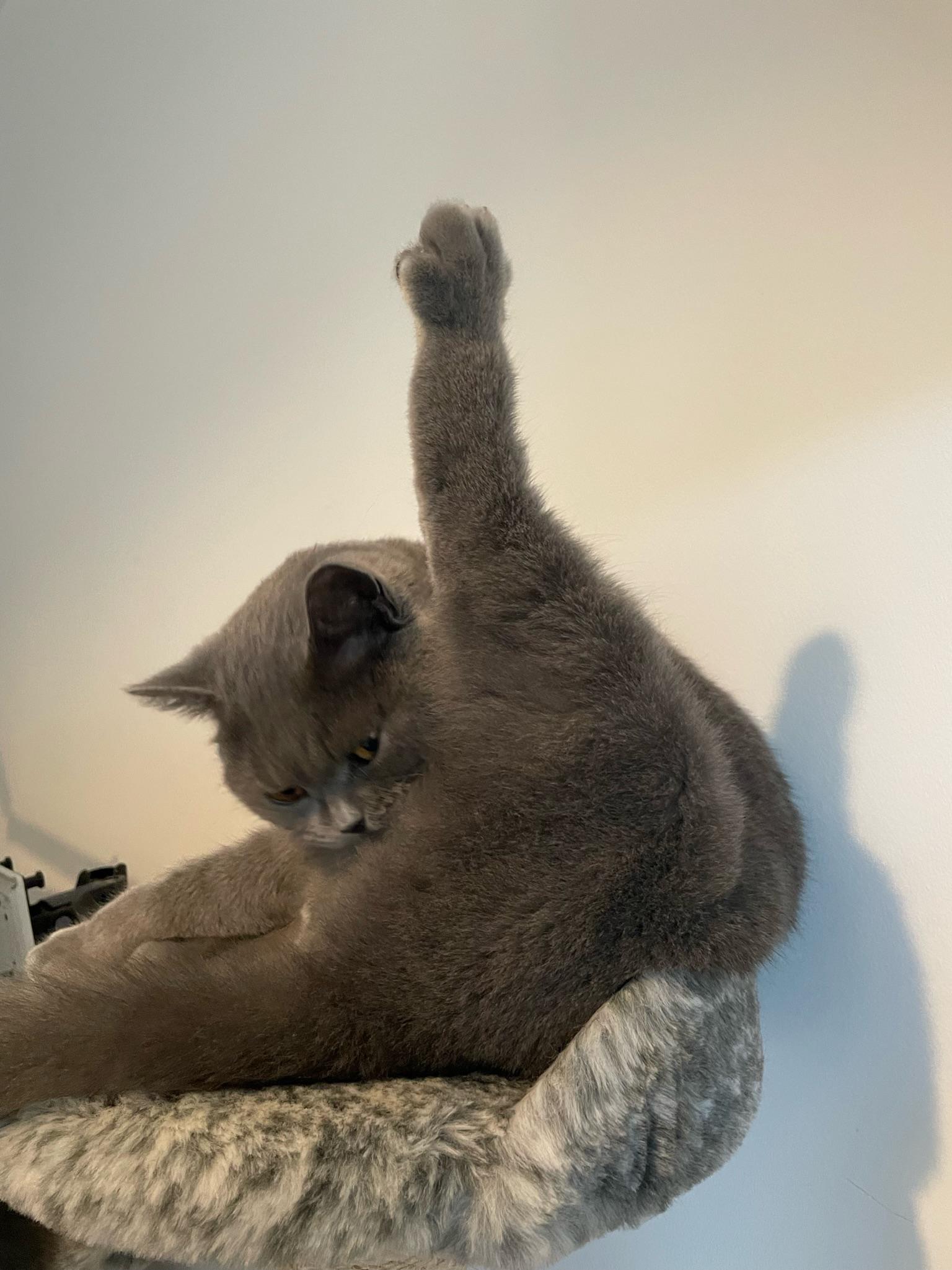 Perfect form | Scrolller