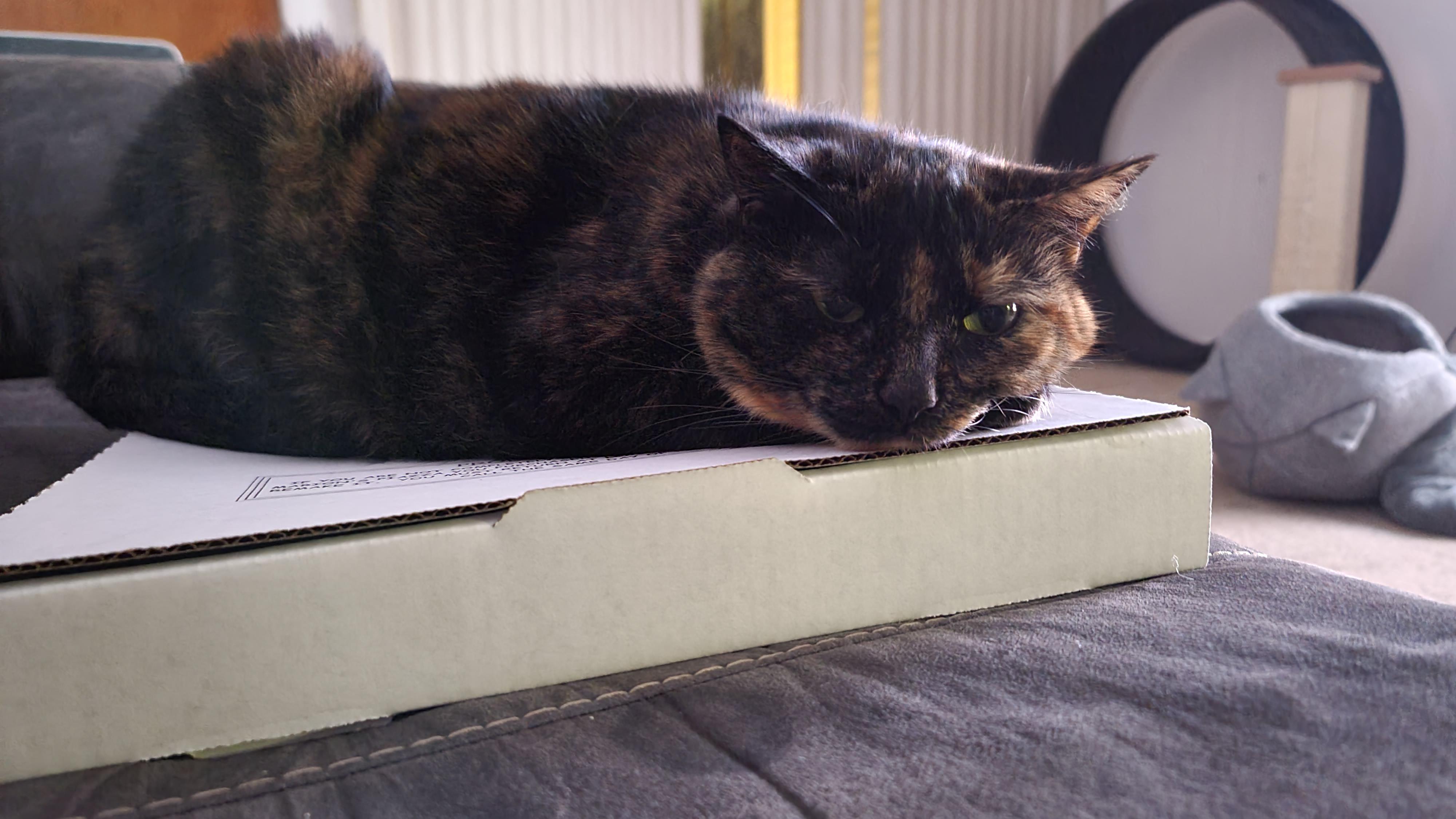 Perfect place for a quick nap | Scrolller