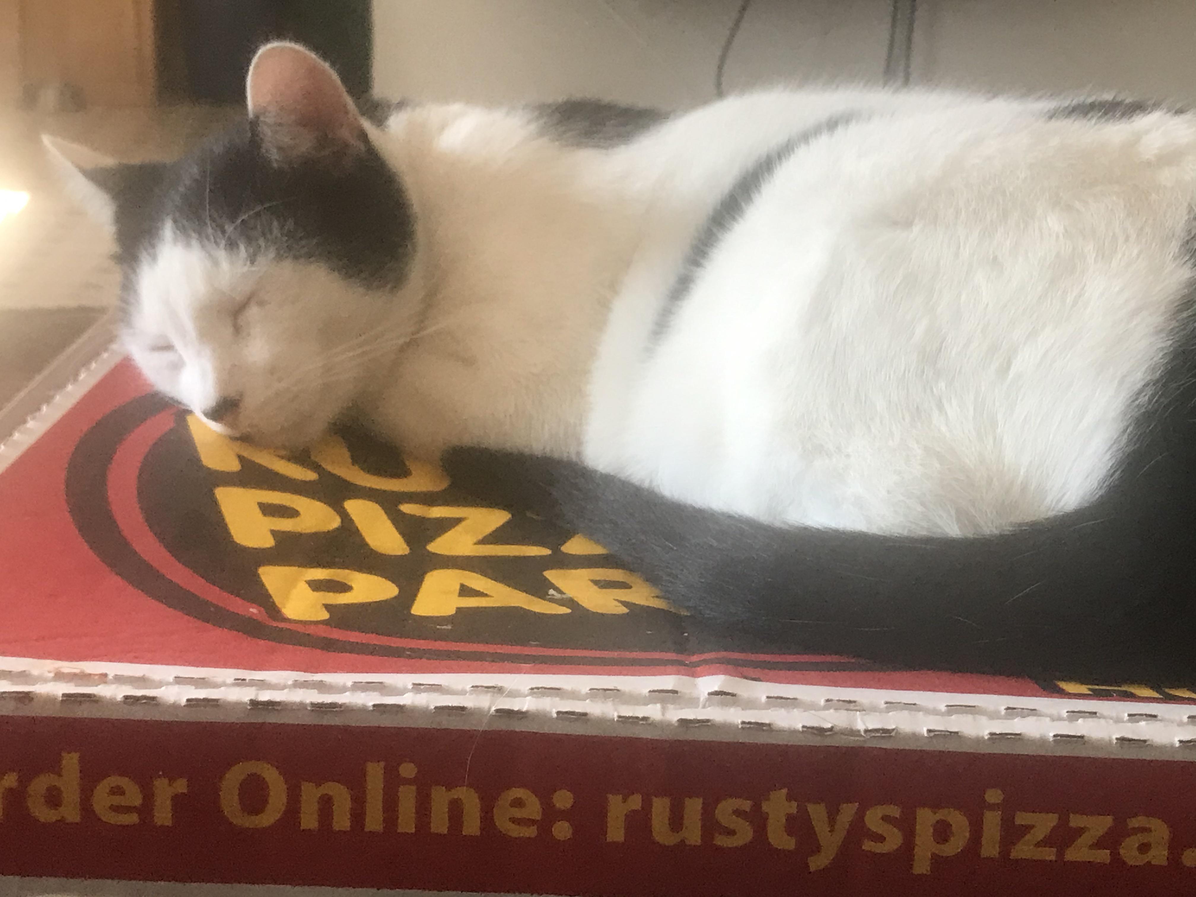 Pete on Rusty’s | Scrolller