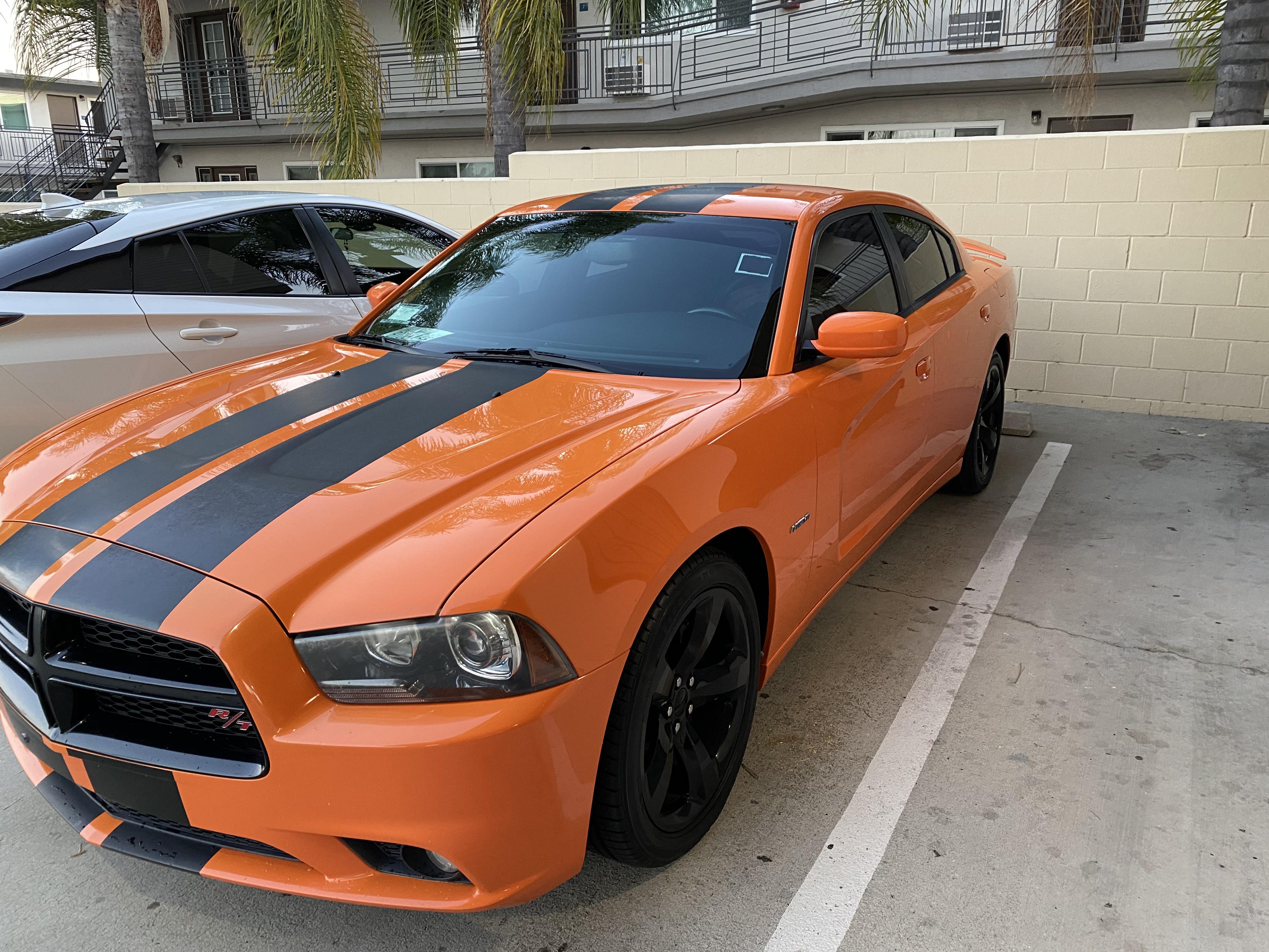 Picked up this beauty! | Scrolller