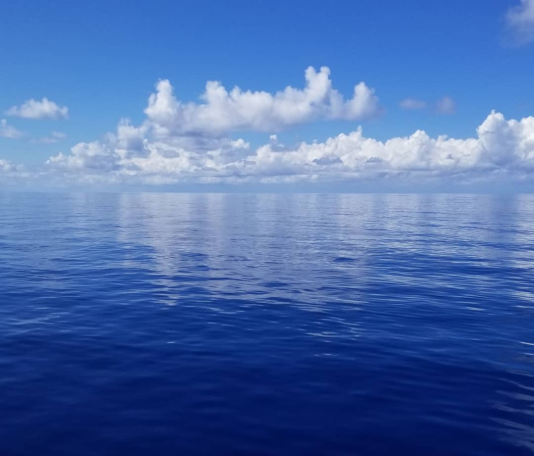 Picture I took off my balcony during the PC crossing. | Scrolller