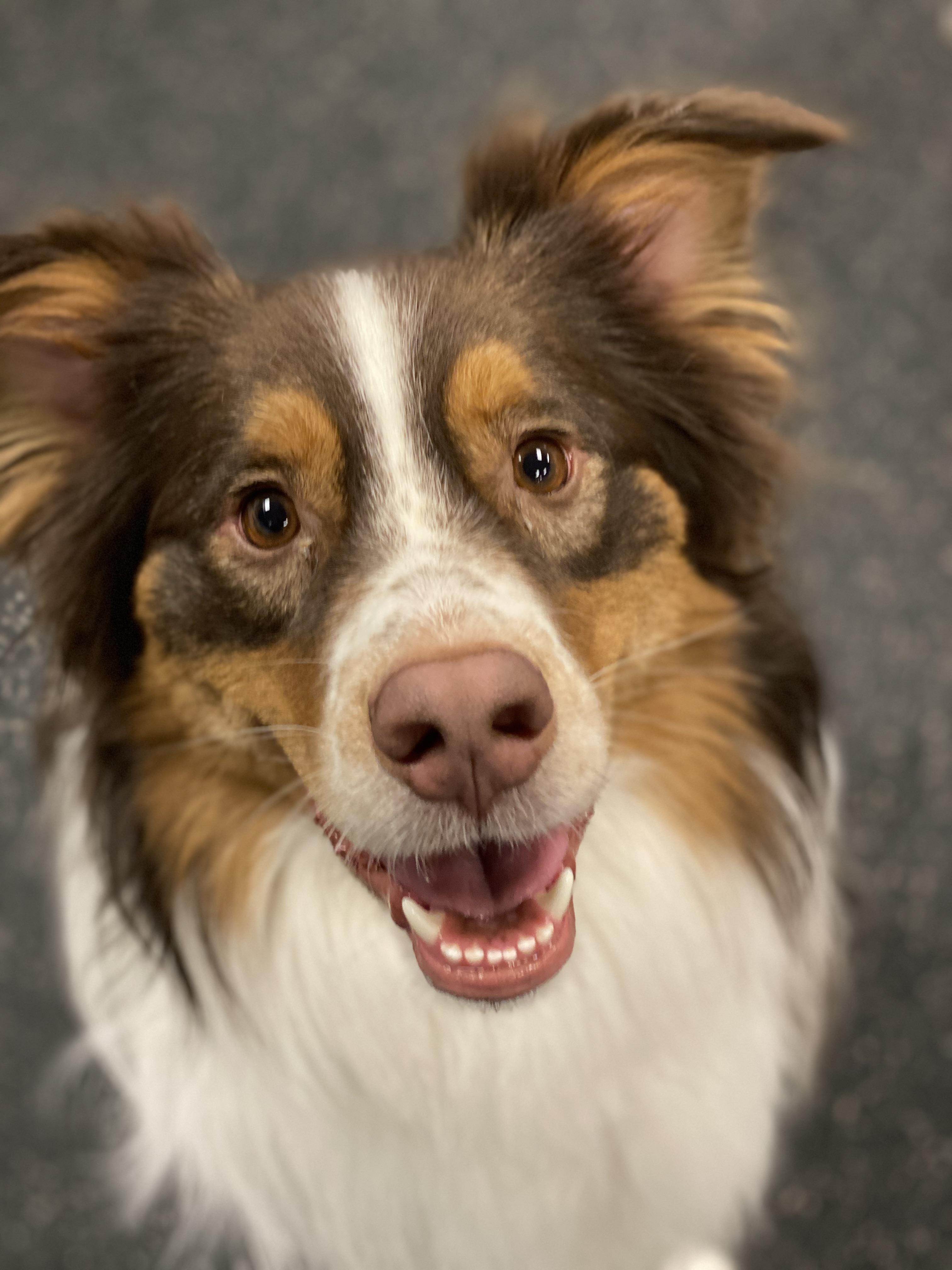 Picture perfect Bo | Scrolller