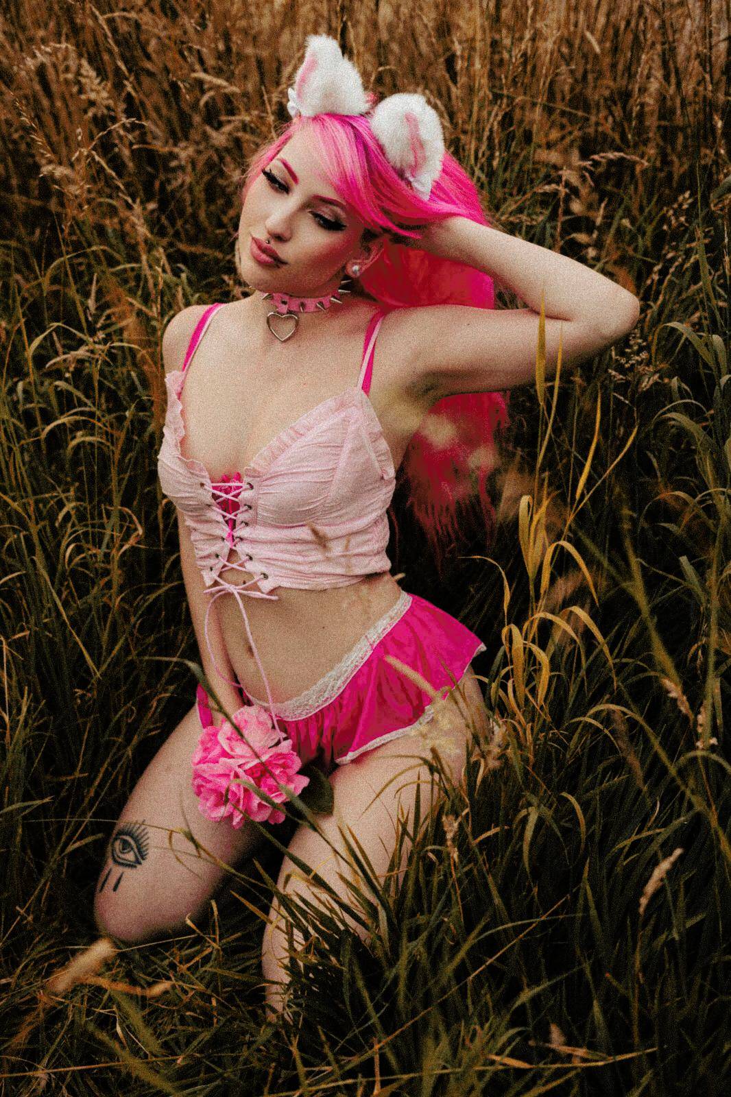 Pink kitty💕 | Scrolller