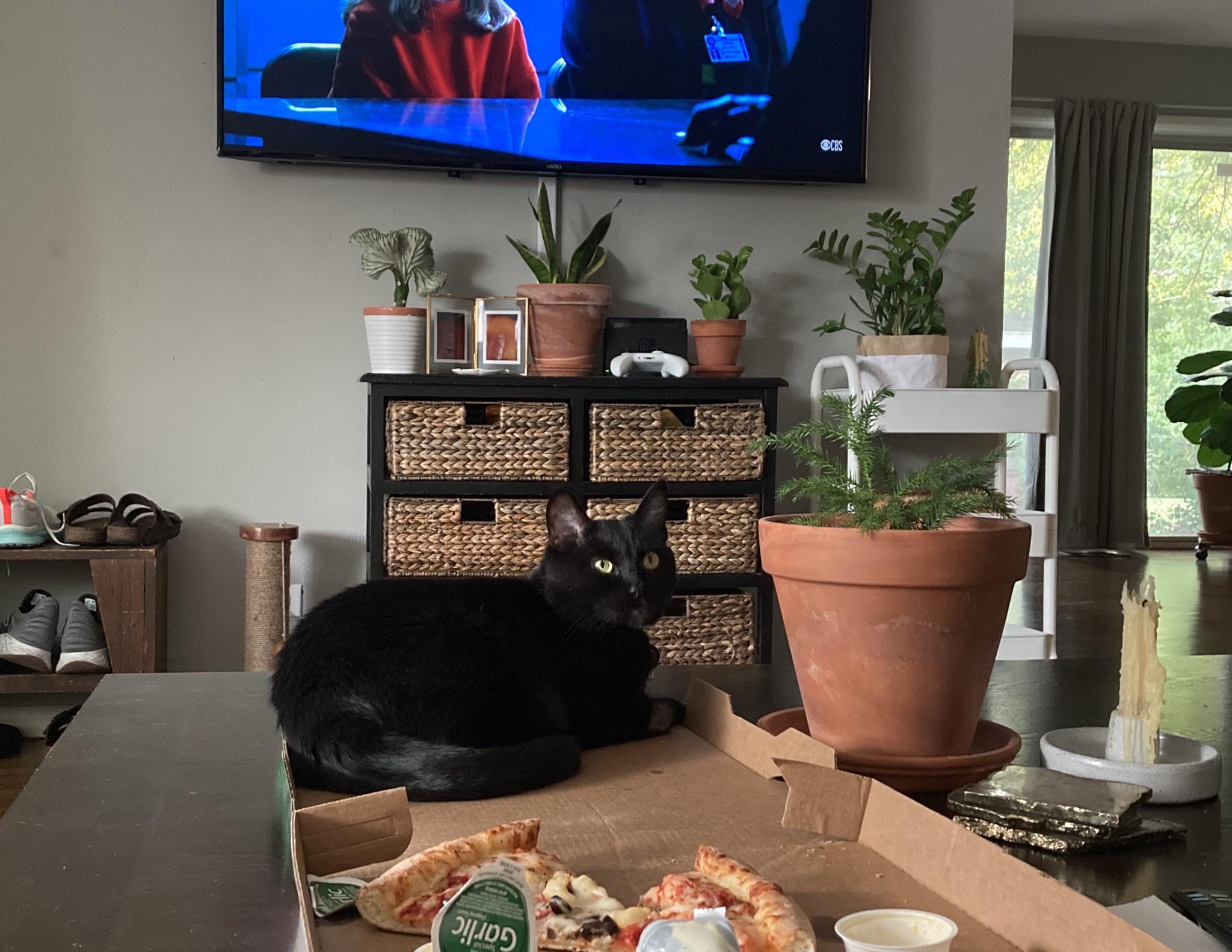 Pizza boxes are her favorite kind of boxes. | Scrolller
