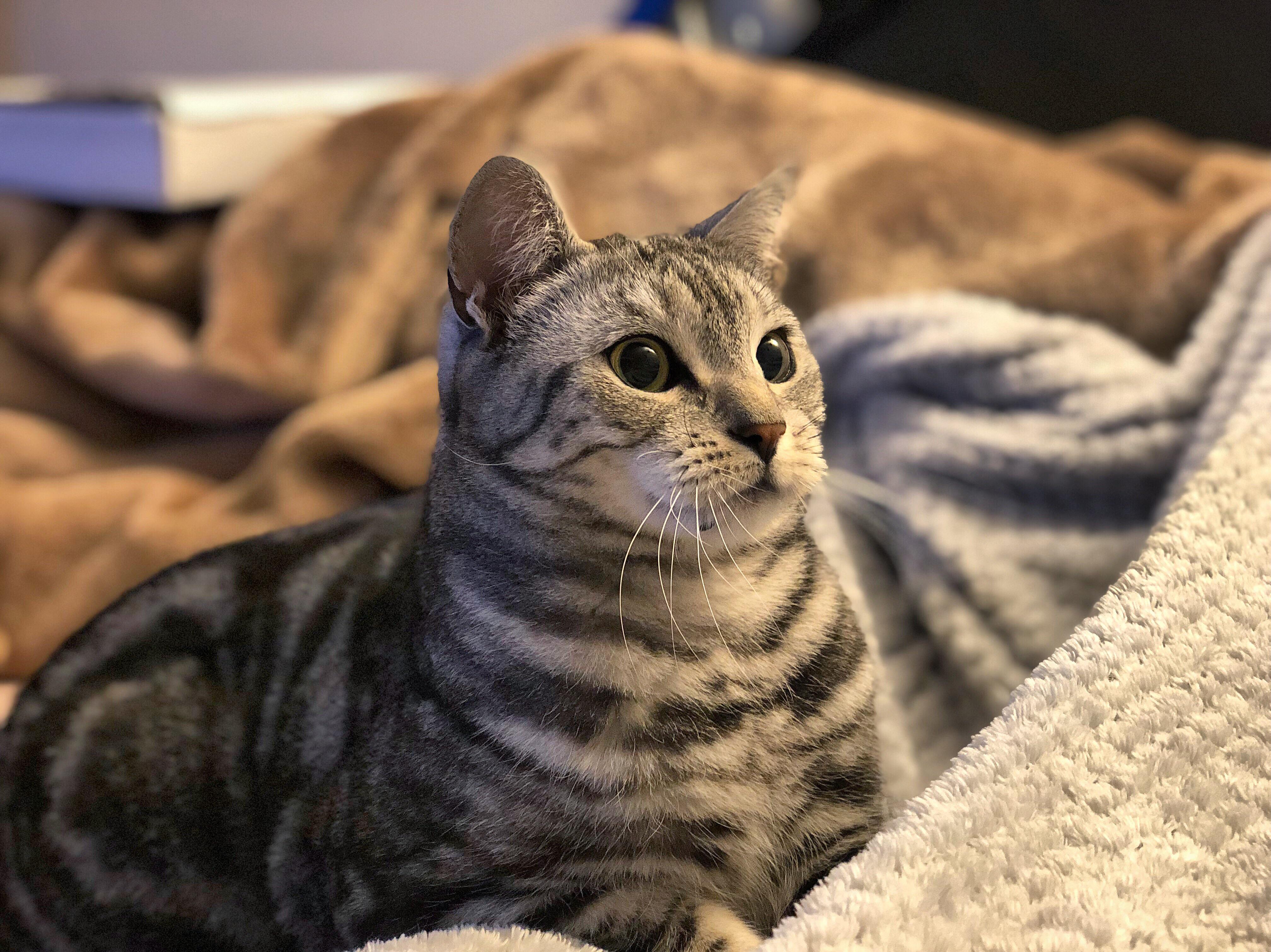 Playful princess peanuts! | Scrolller