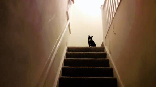 Playing fetch with my 2 | Scrolller