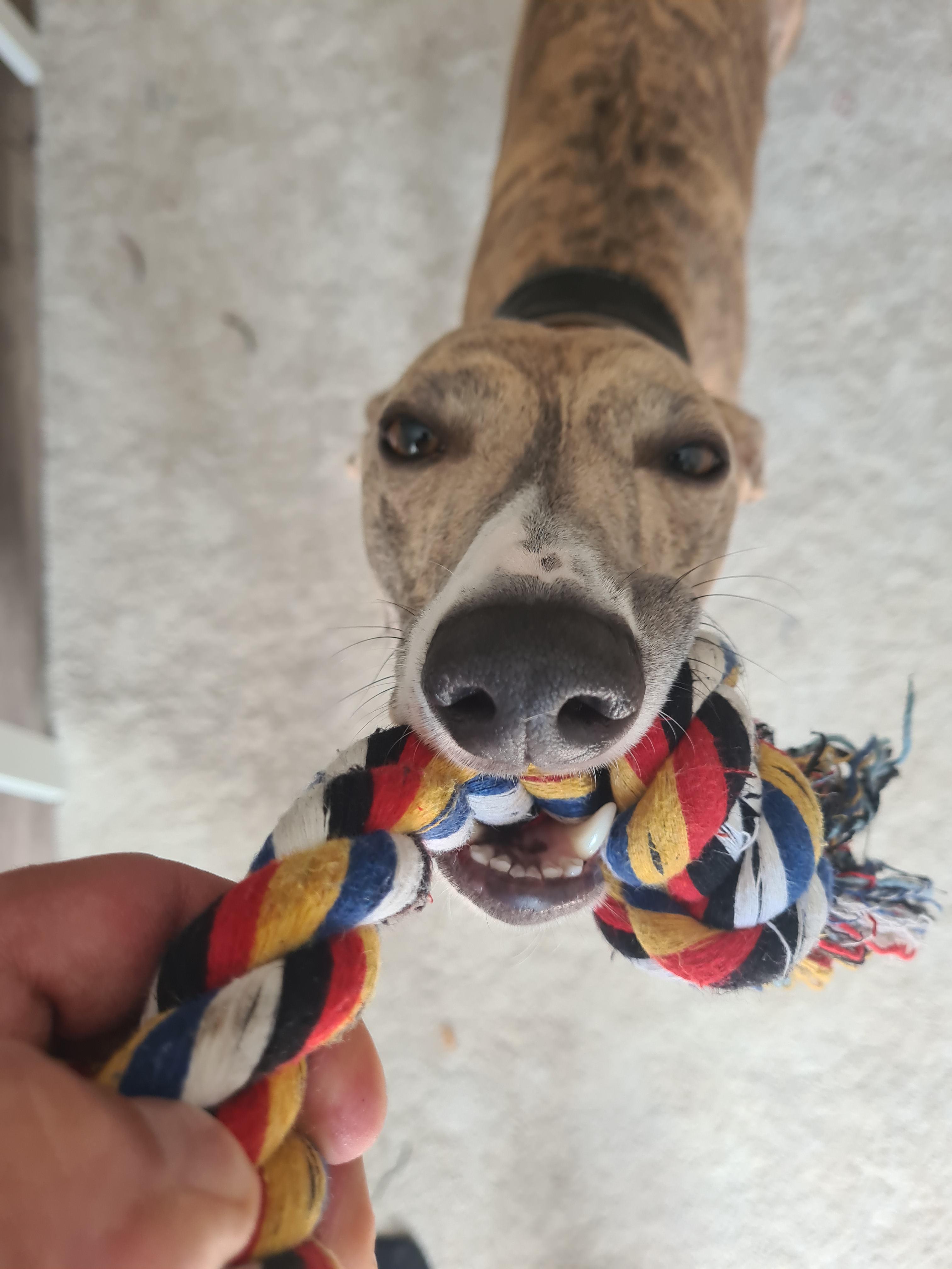 playtime | Scrolller