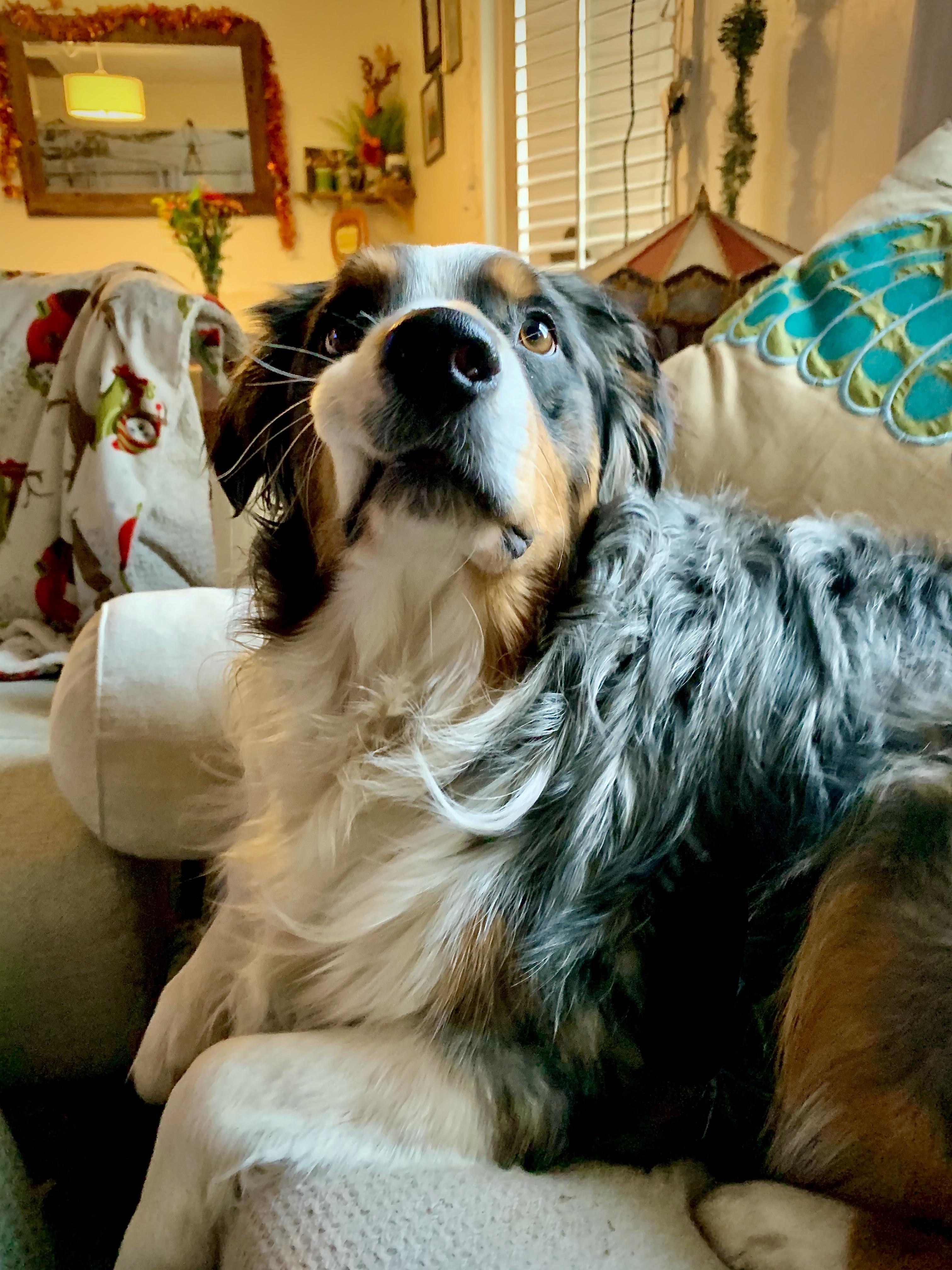 Please enjoy Charlie’s majestic lip tuck | Scrolller