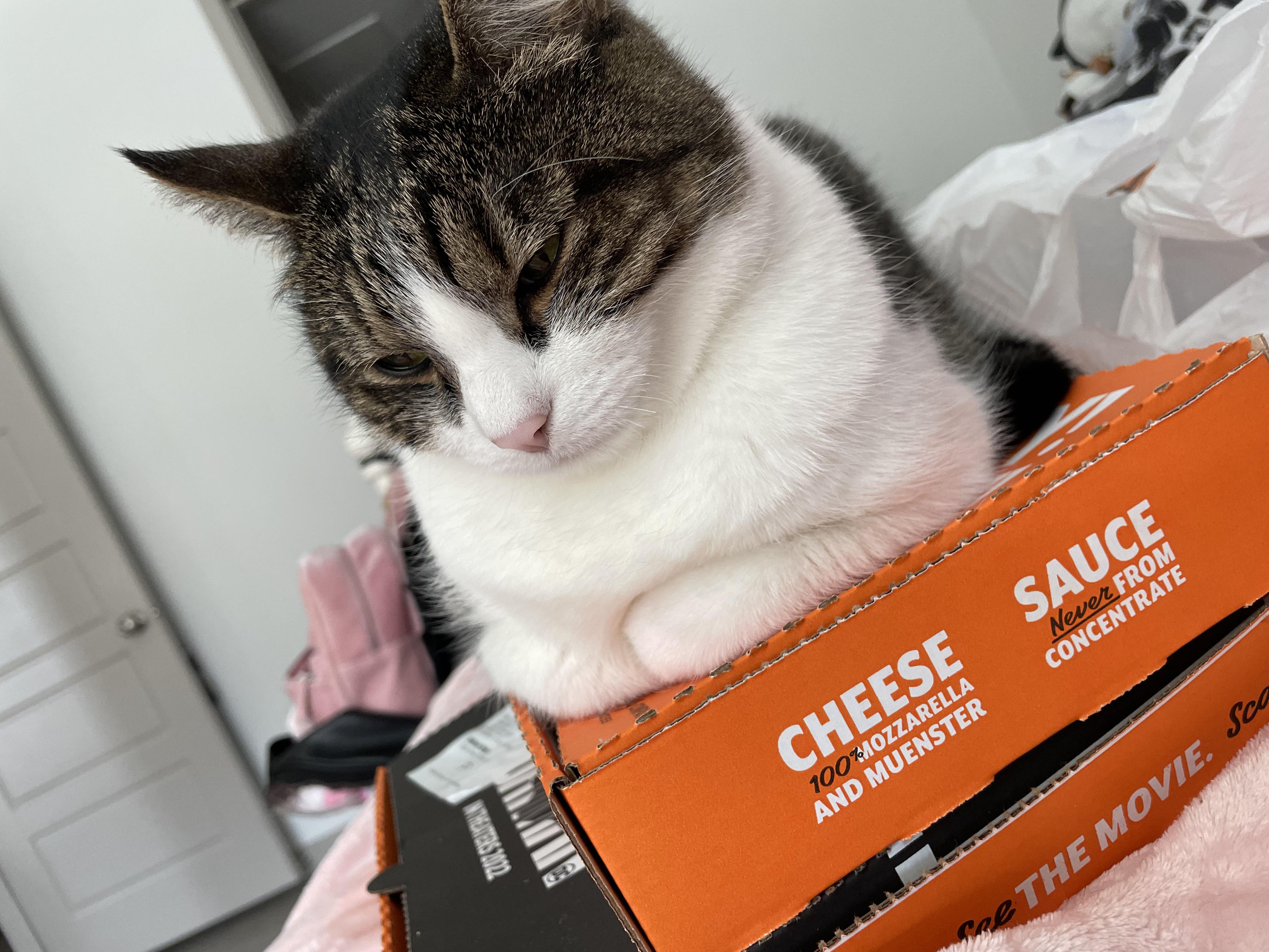 Pooper on the Caesar | Scrolller