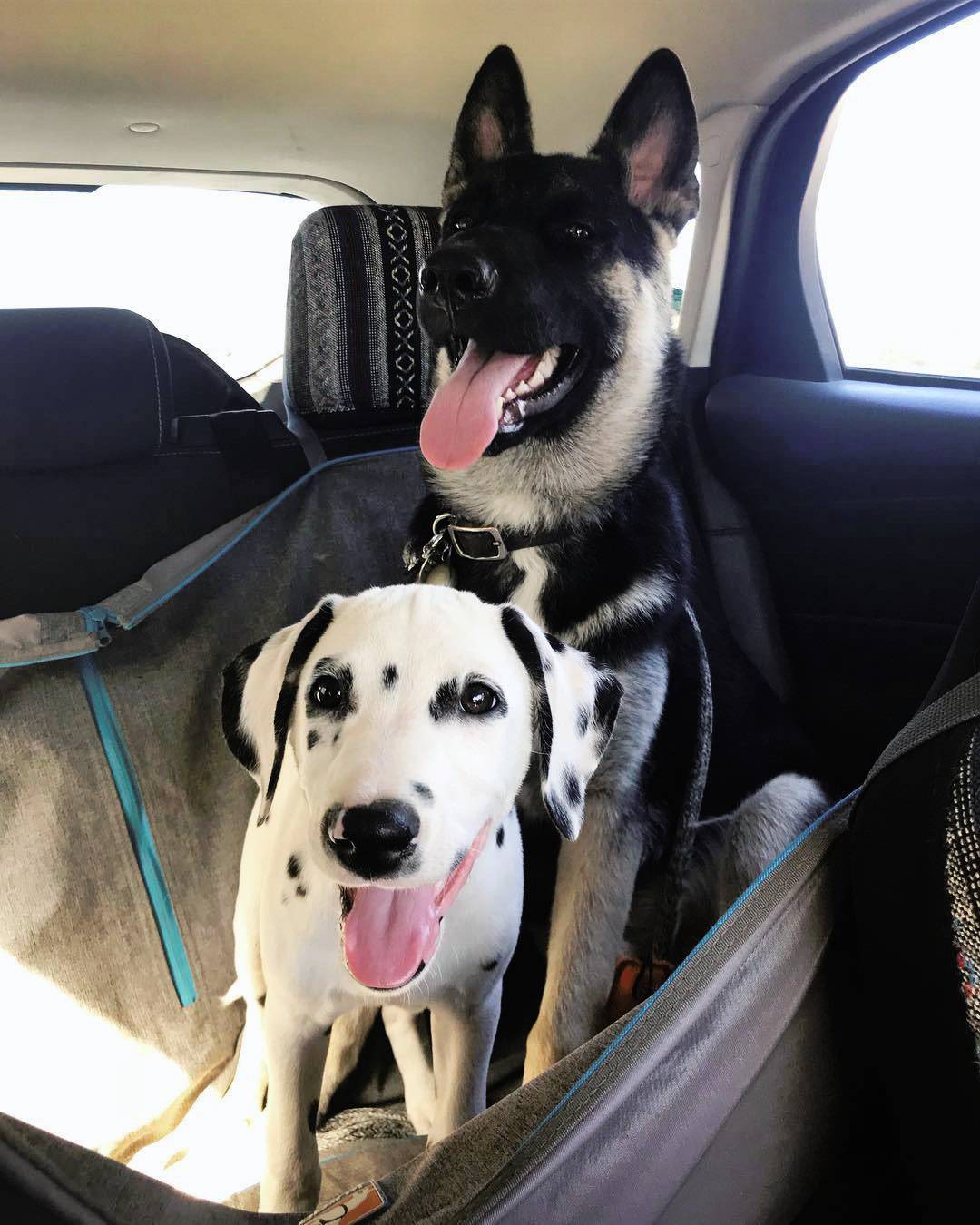 post adventure smiles :-) | Scrolller