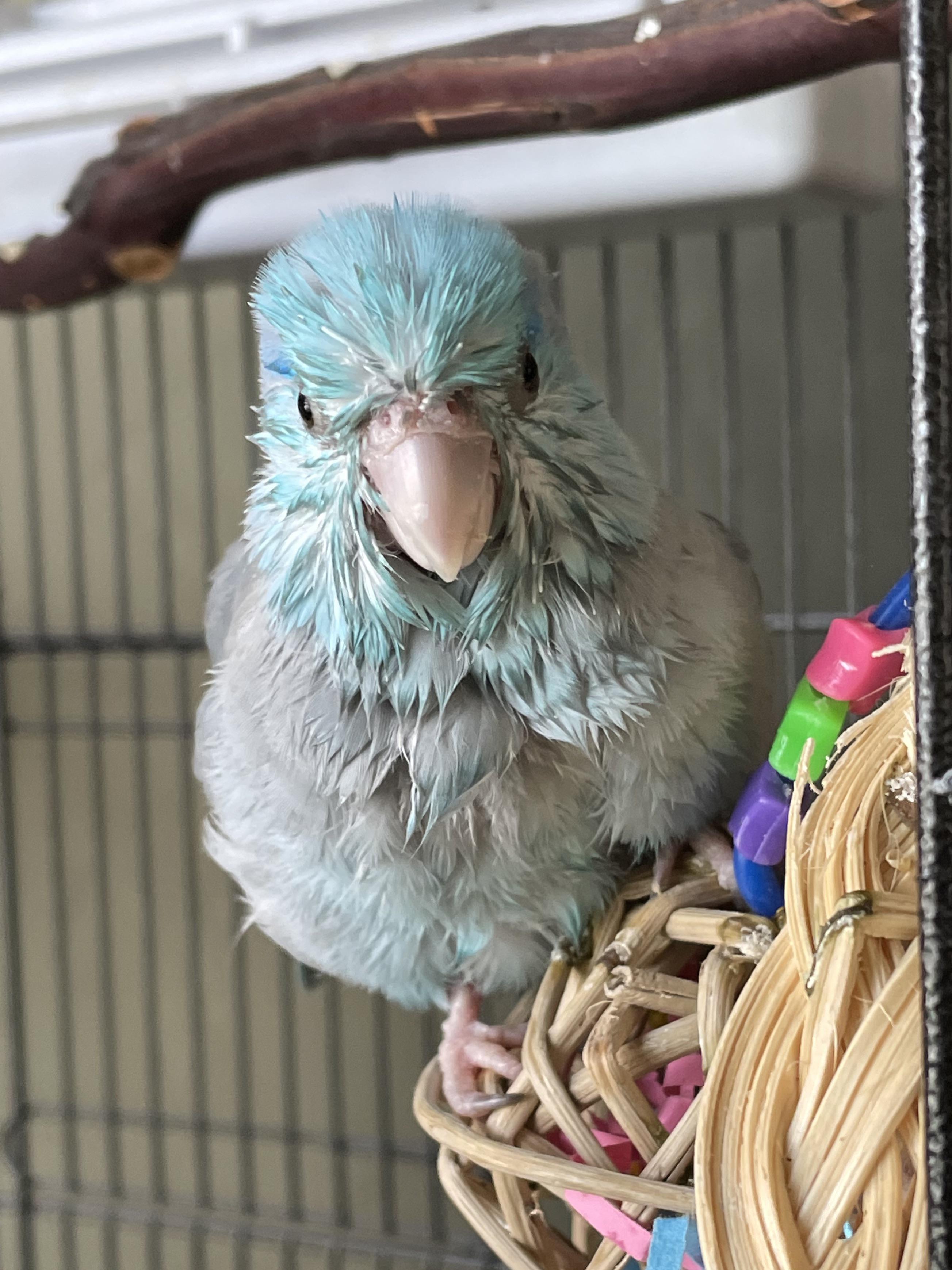 Post bath | Scrolller