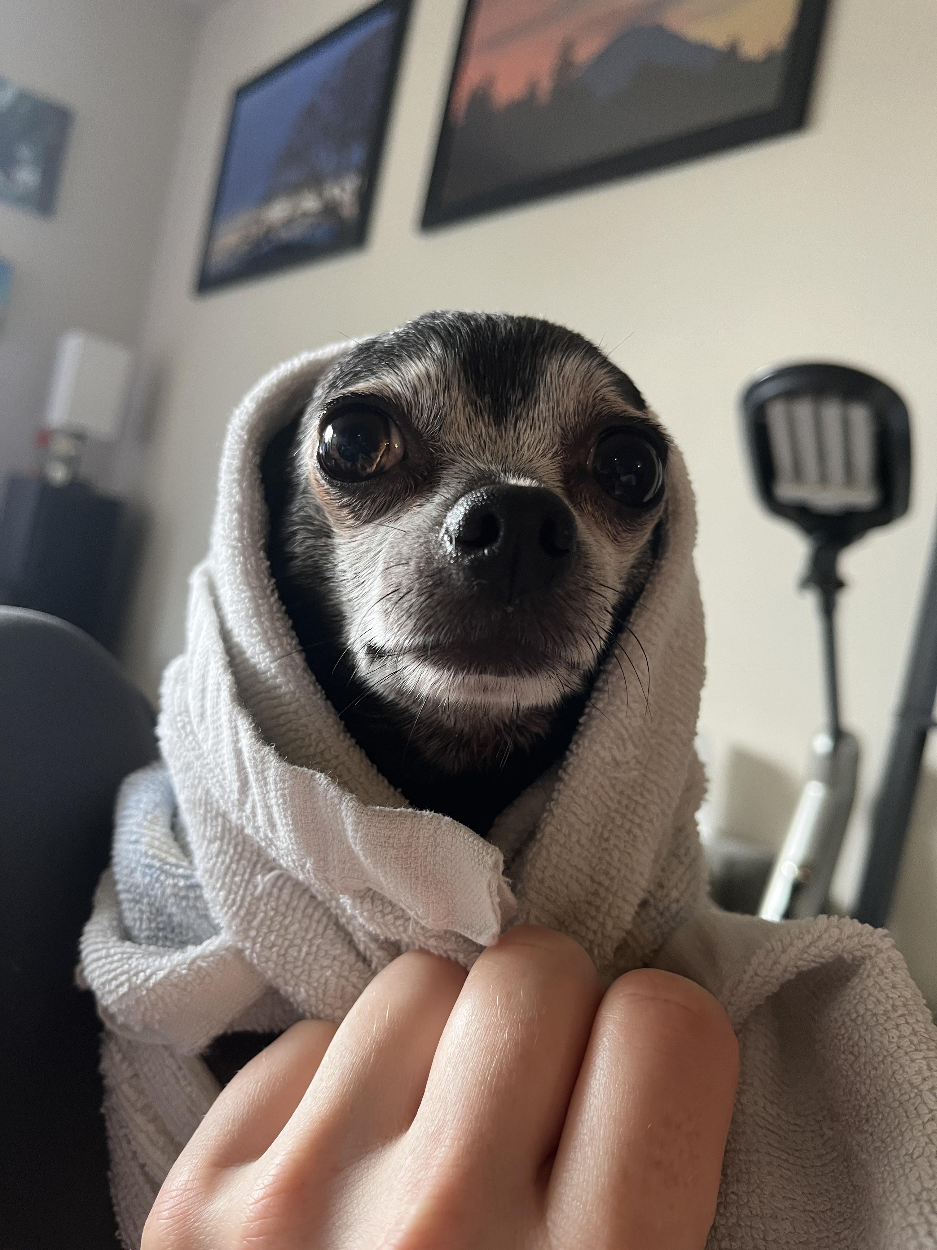 Post-bath babushka | Scrolller