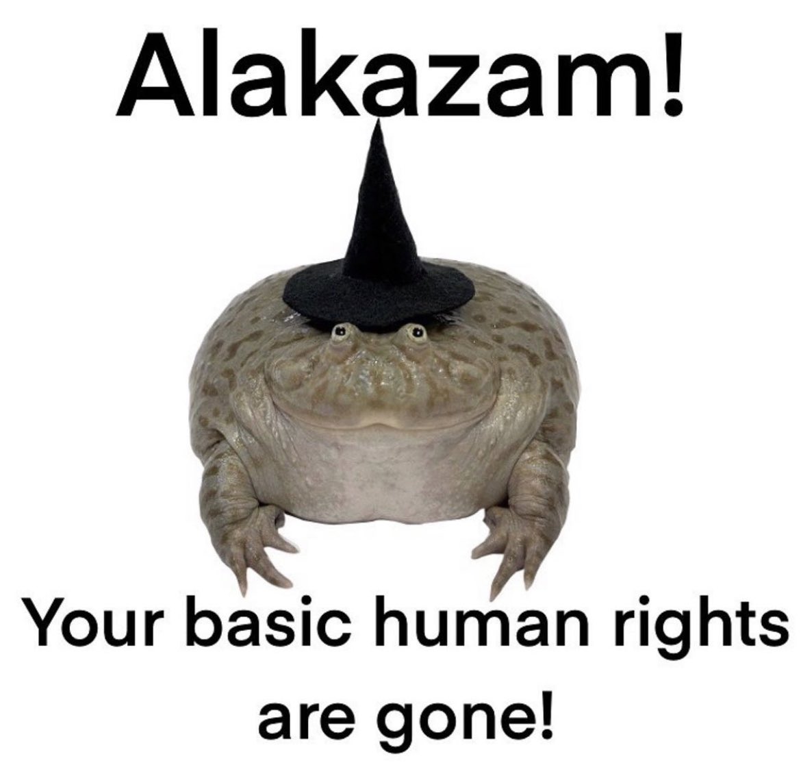 POV: you're a sub | Scrolller