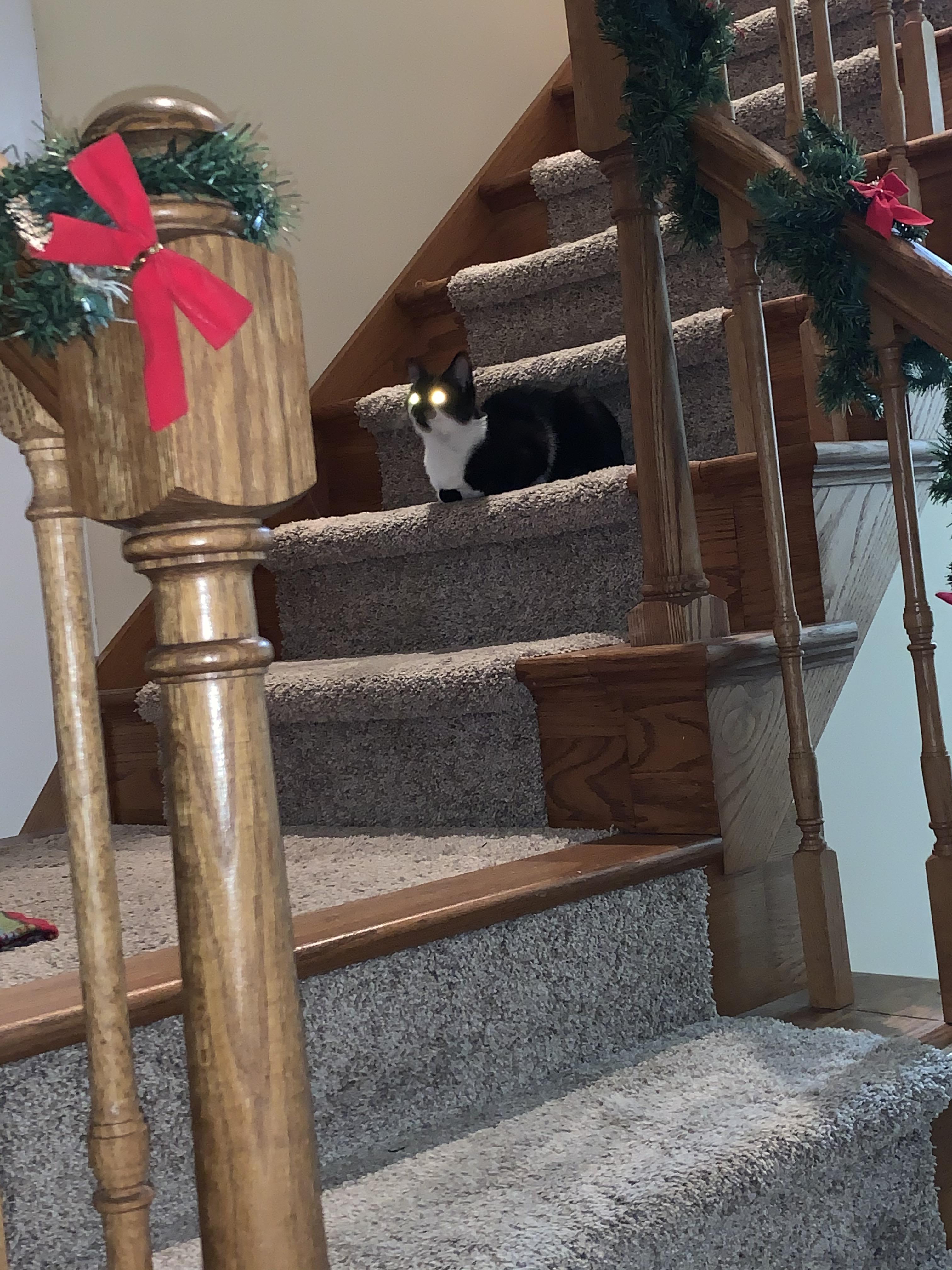 Powering up | Scrolller