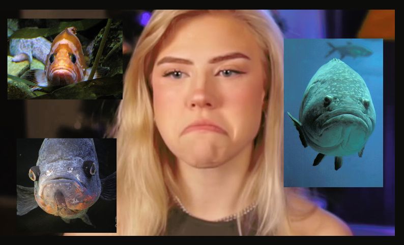 Presented with no context | Scrolller