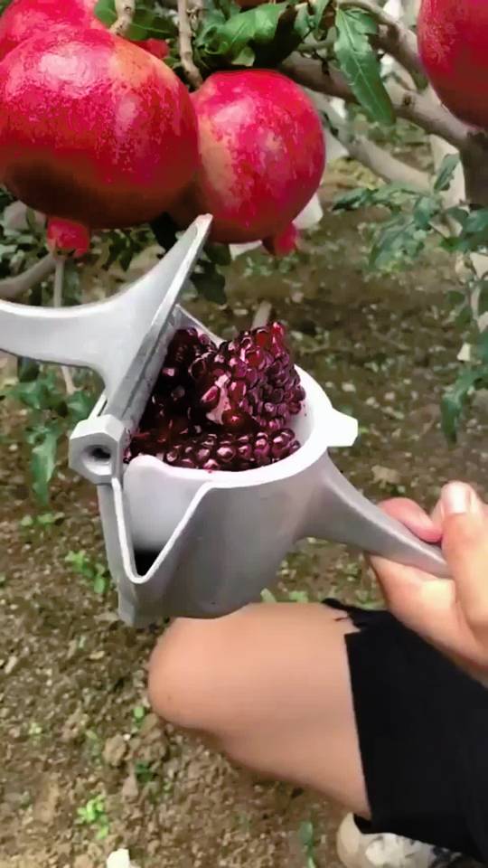 Pressing Pomegranate Scrolller