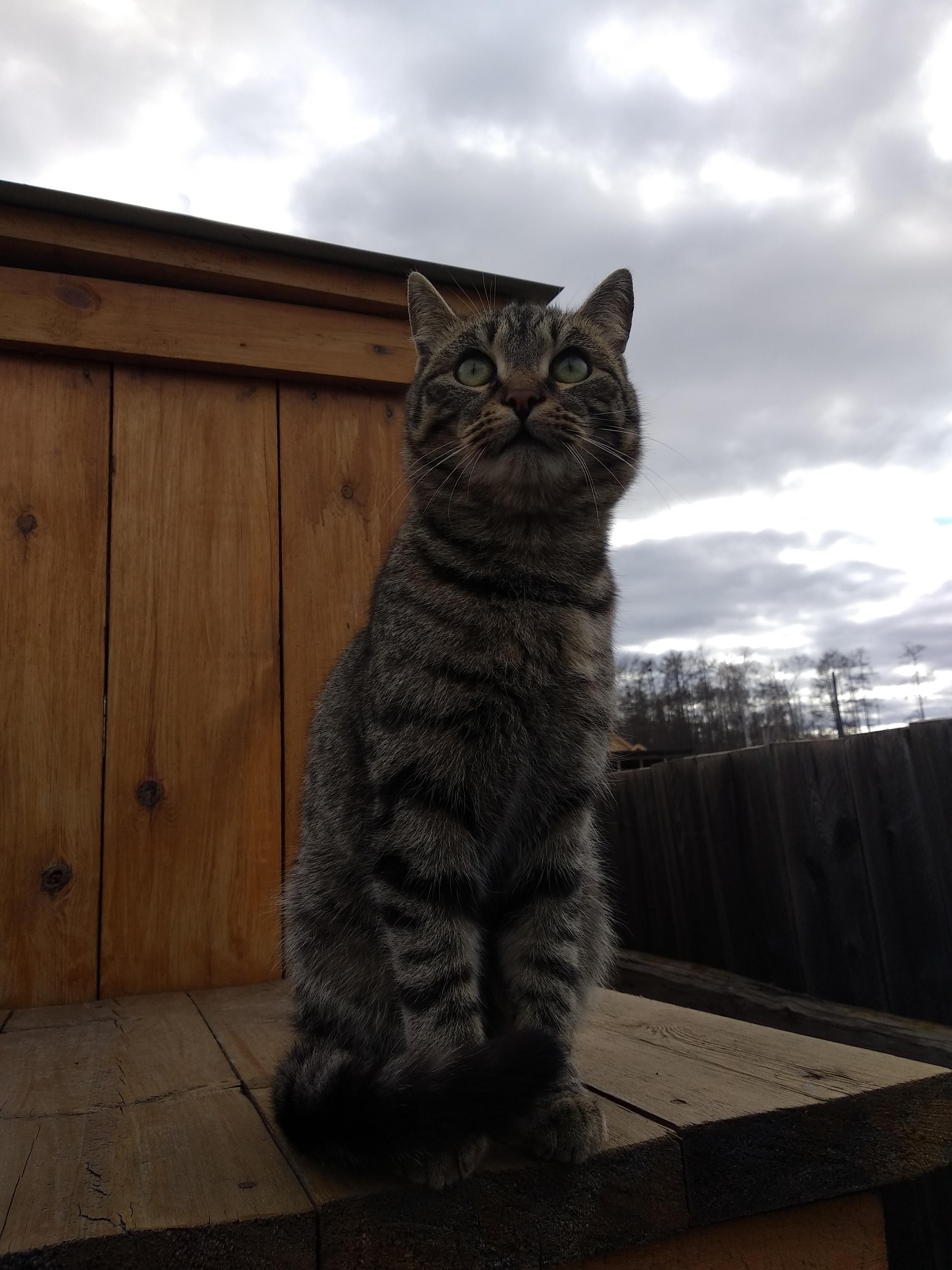 pretty peanut | Scrolller