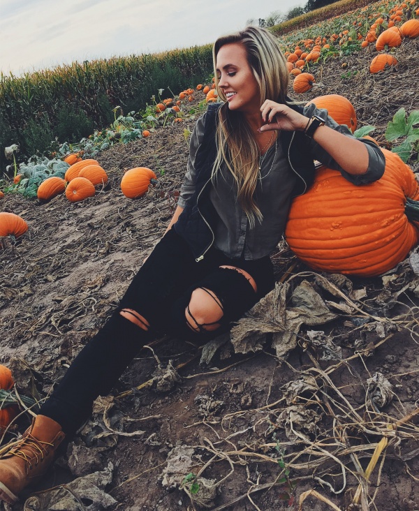 Pumpkin patch | Scrolller
