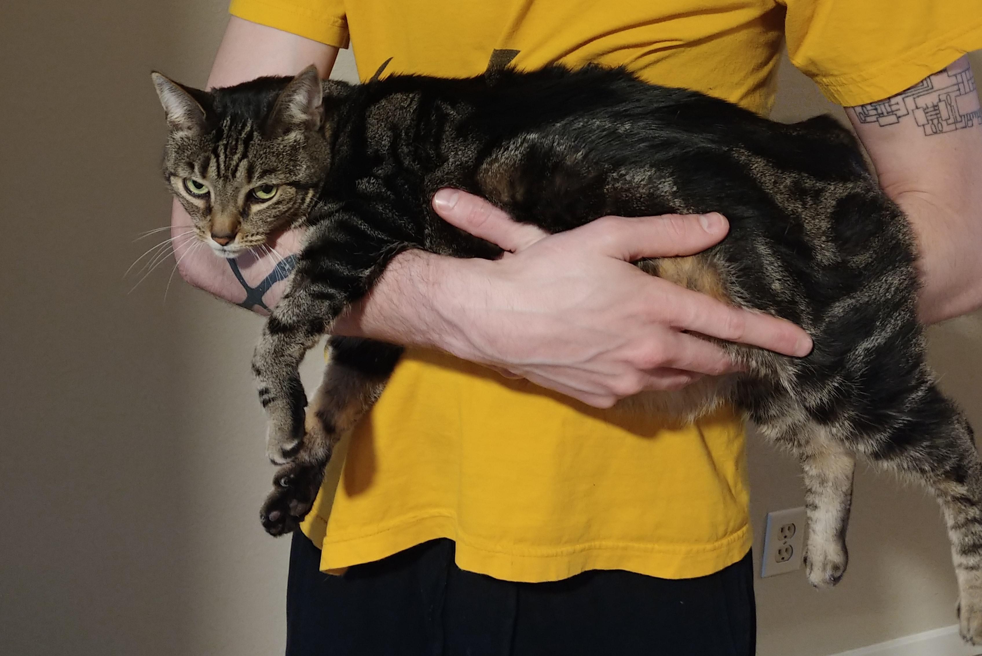 "Put me down dad" | Scrolller