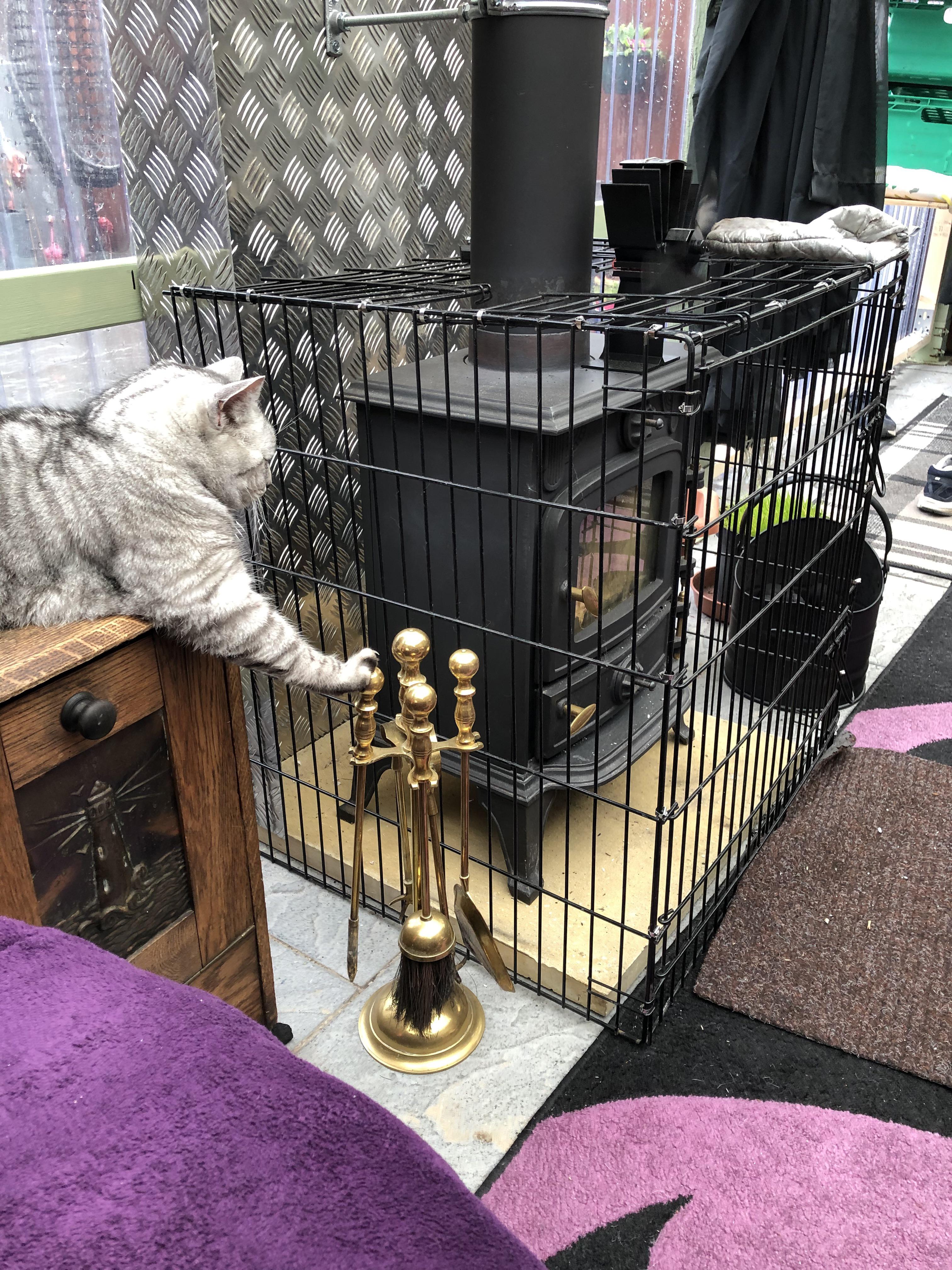 Put the fire on human! | Scrolller