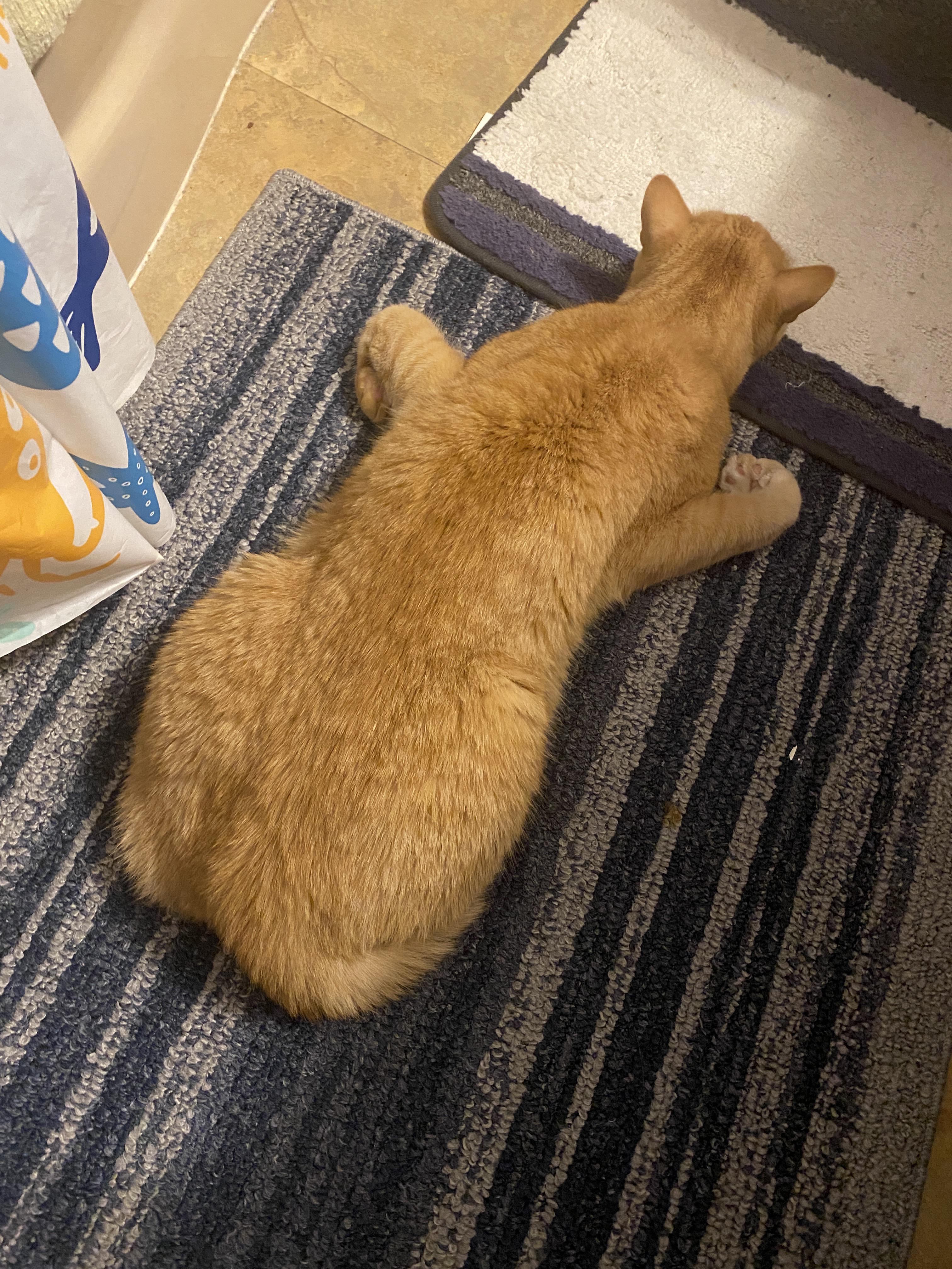 Questionable | Scrolller