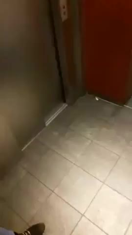 Quick Elevator Blowjob | Scrolller
