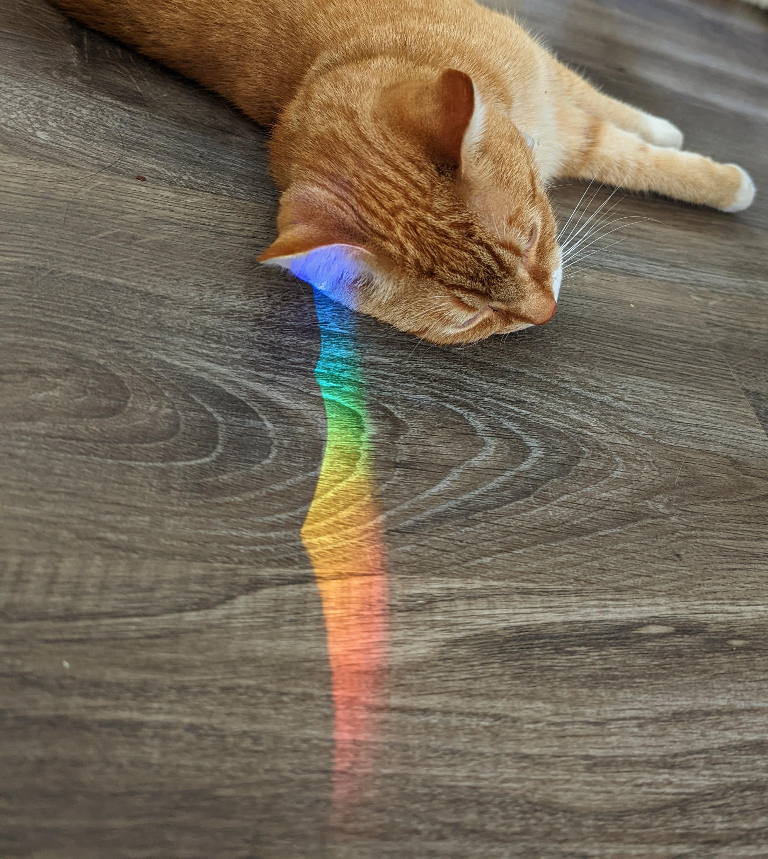 Rare picture of braincell transfer in progress. | Scrolller