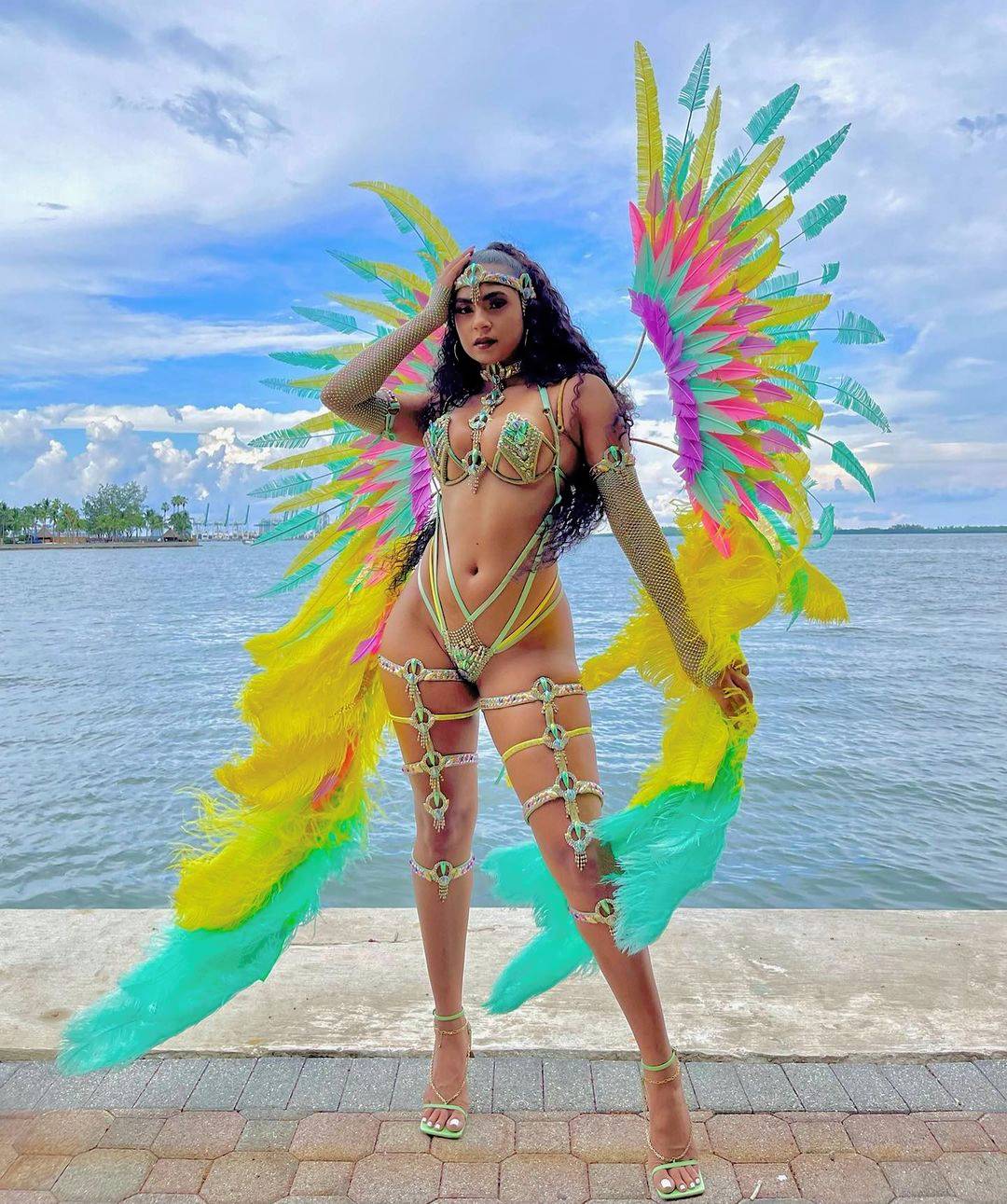 Ready for Miami Carnival | Scrolller