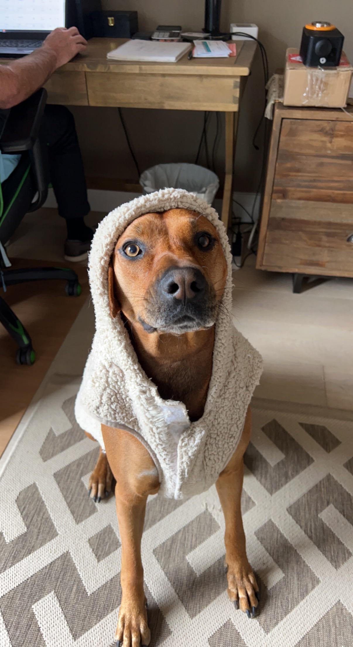 Ready for winter | Scrolller