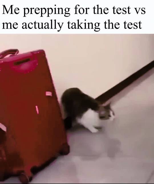 Ready. Set. Slap. | Scrolller