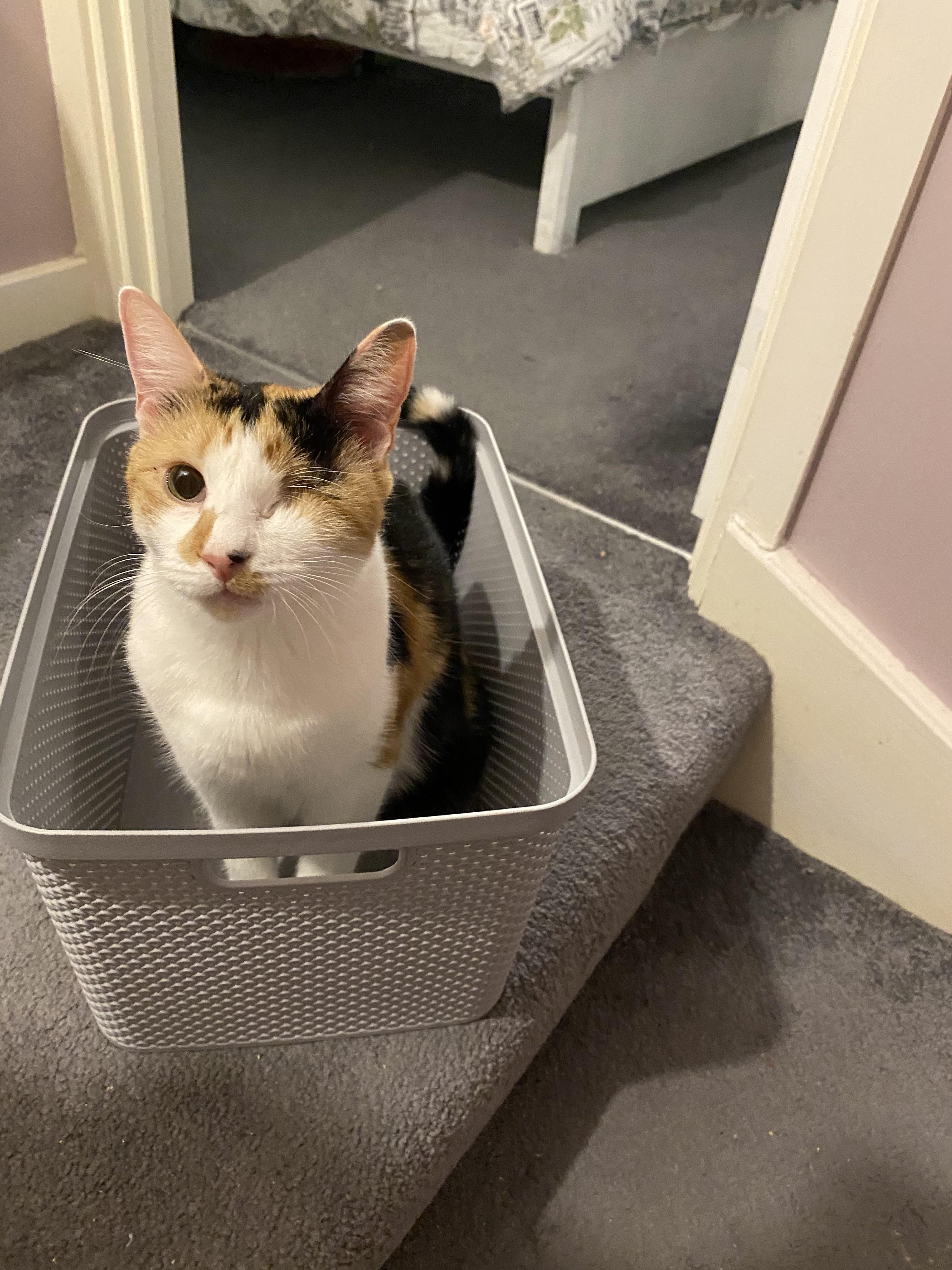 Ready to set sail 🏴‍☠️ | Scrolller