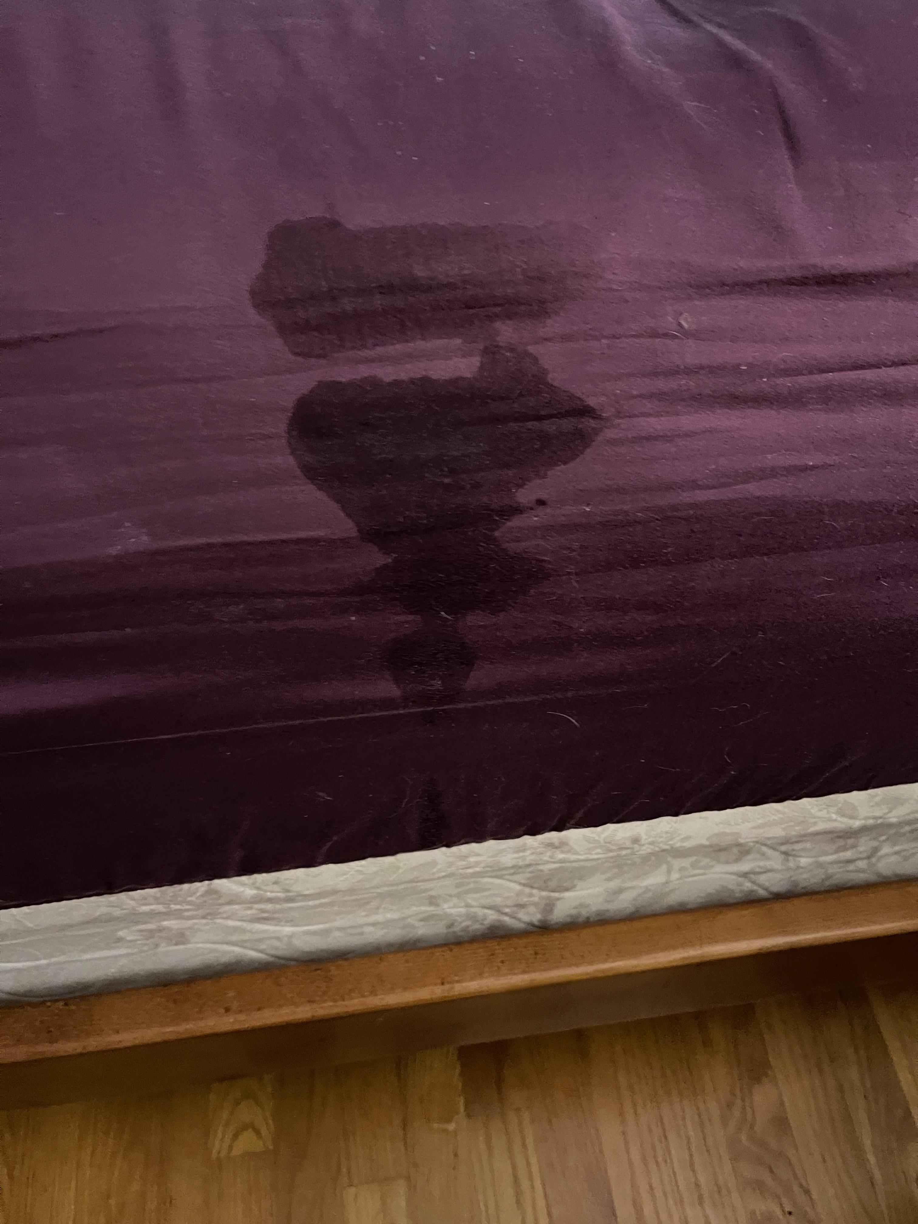 Reclamation sex is the best….. Hotwife aftermath (please note the puddle on the floor…) | Scrolller