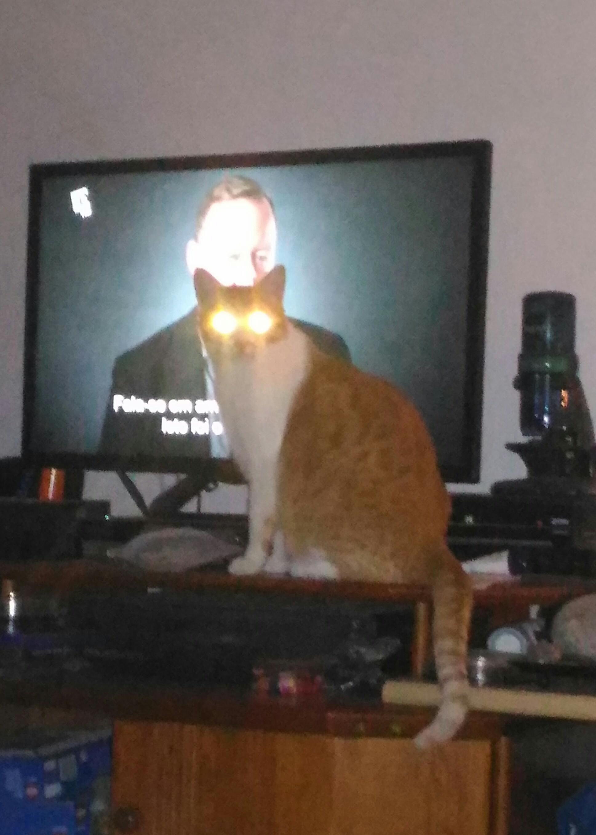 Resisting is futile. | Scrolller