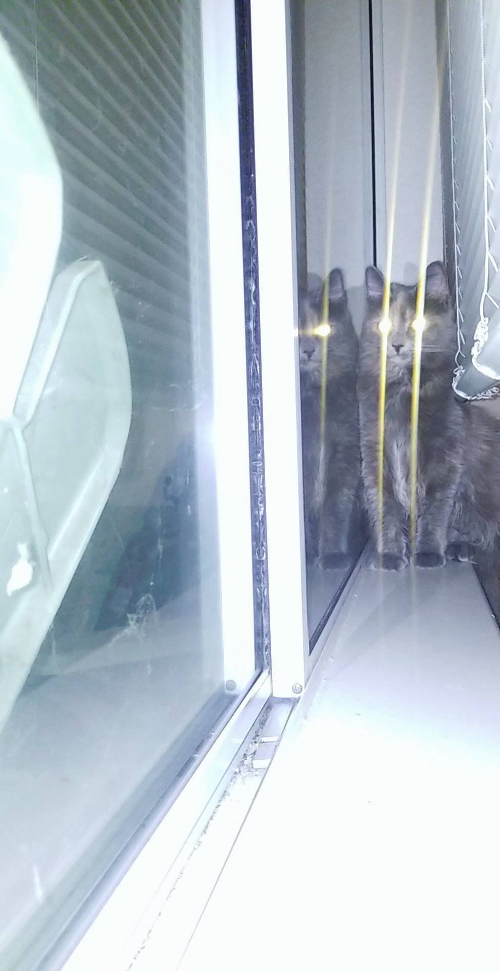 Ripping apart space time continuum. Please wait. | Scrolller