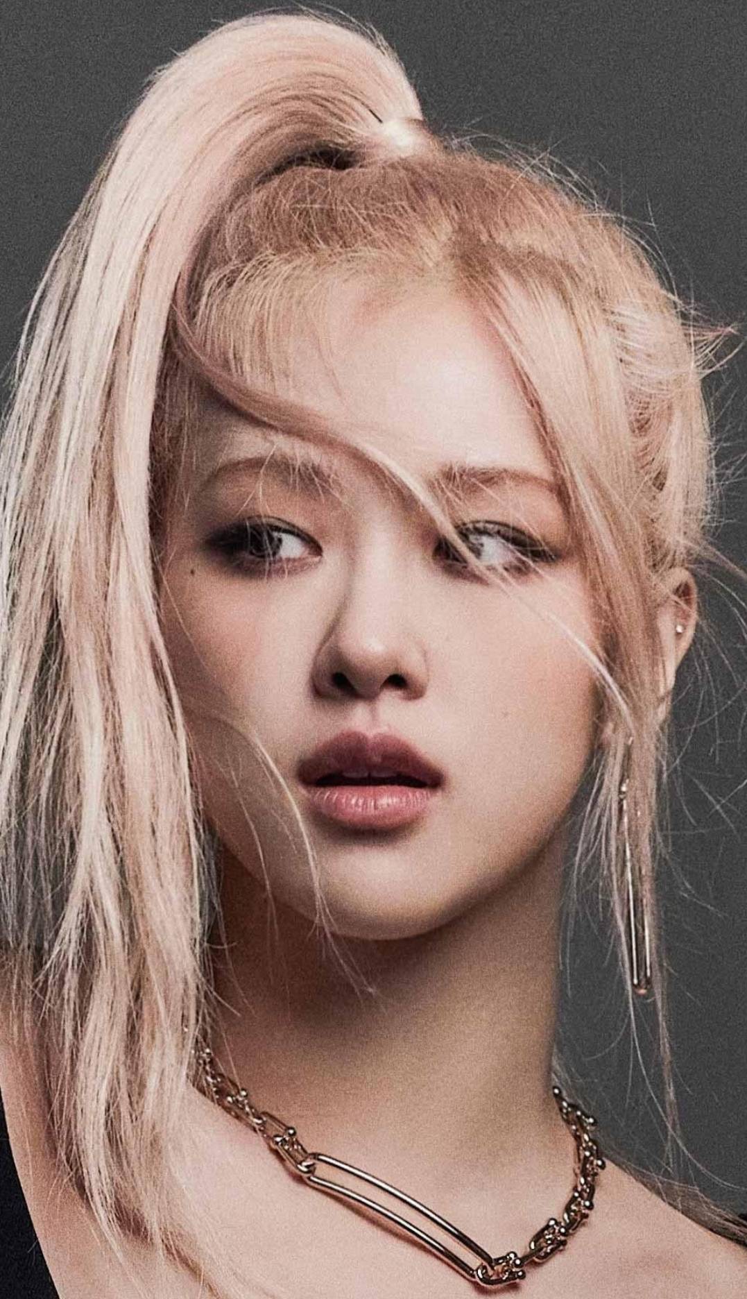 Rose - blonde, close up | Scrolller