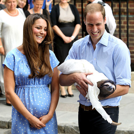 Royal Sloth | Scrolller