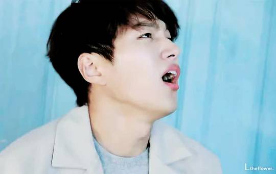 Rule 34 D.va (lvl3toaster) [overwatch] | Scrolller