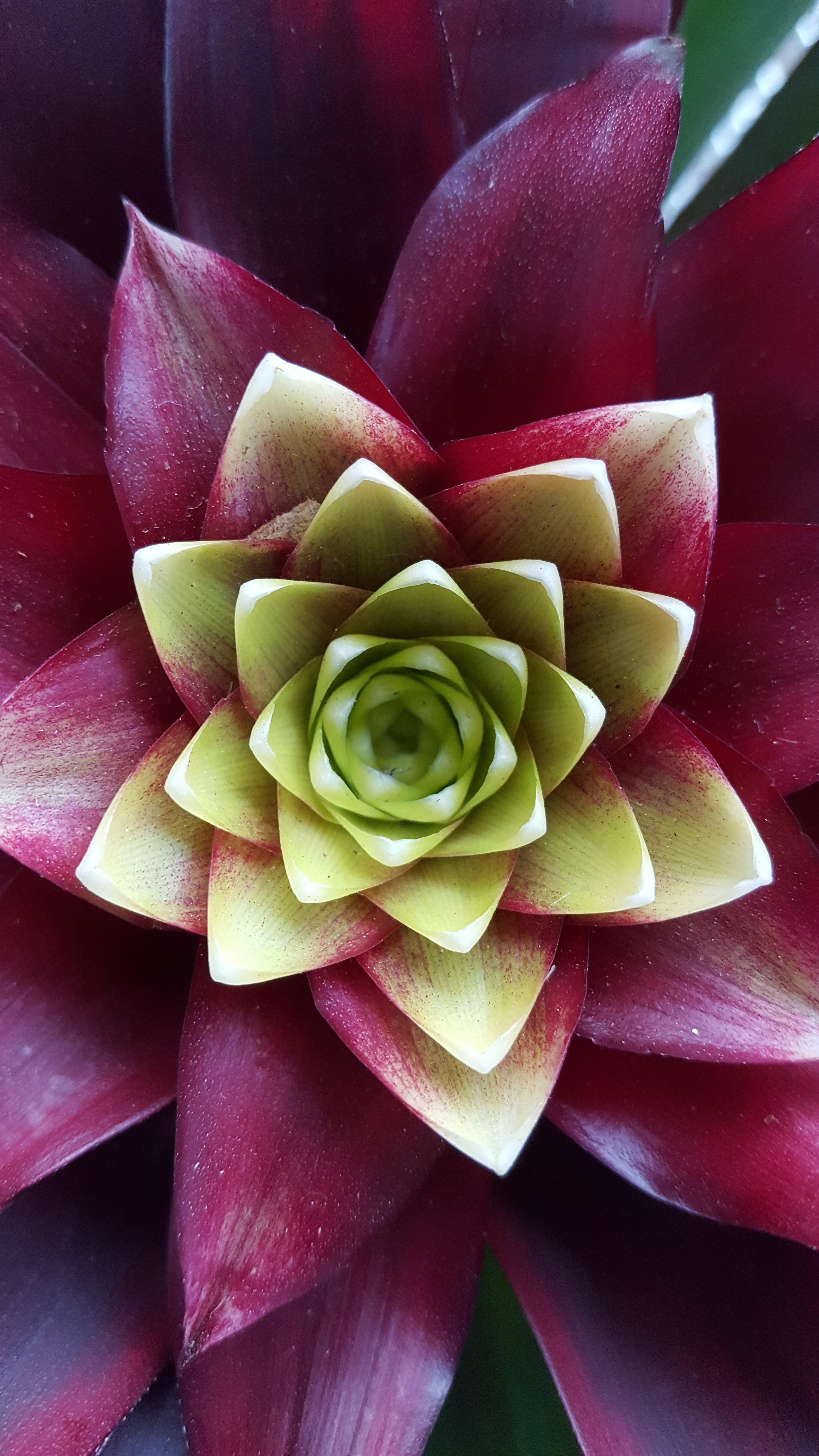 Sacred geometry | Scrolller